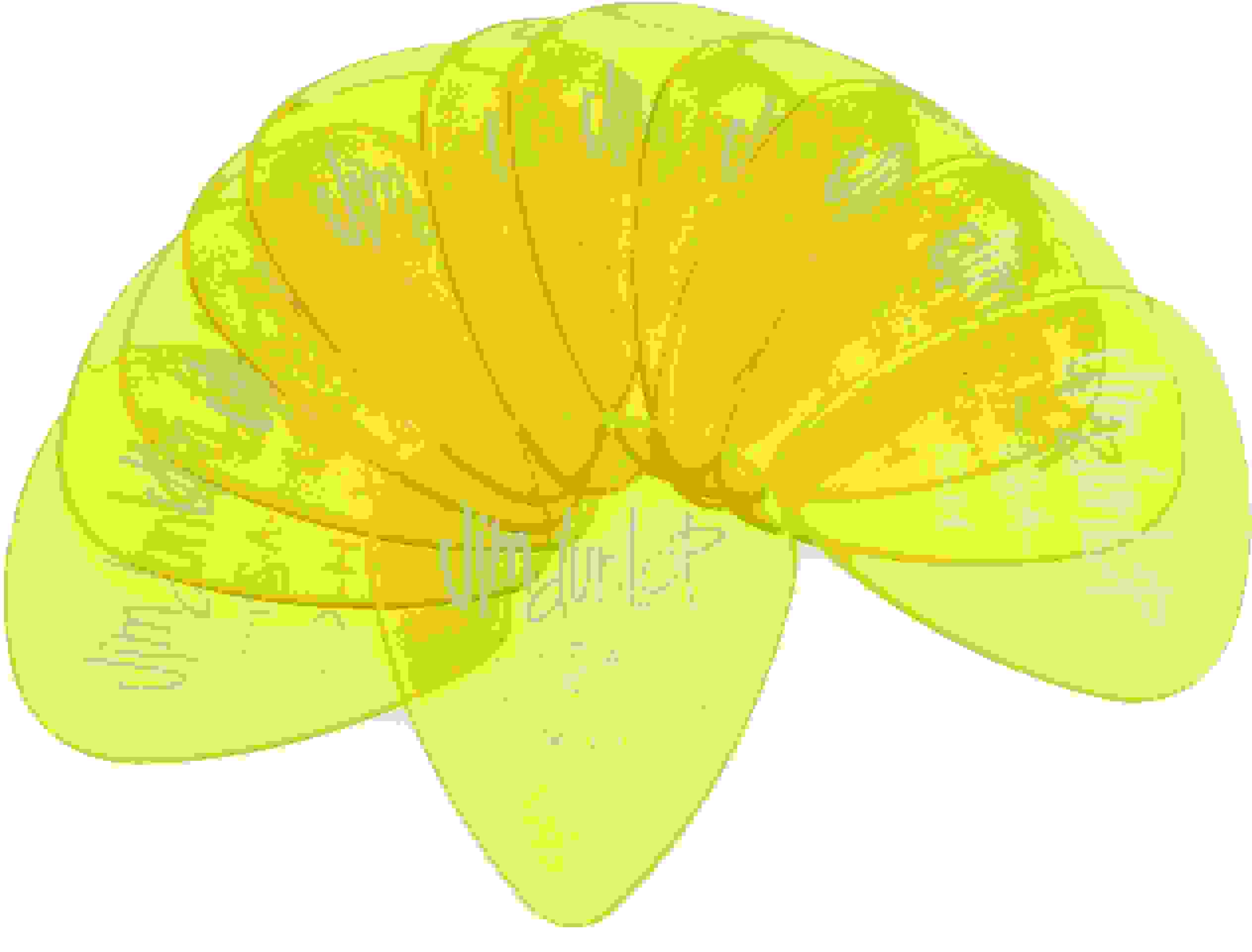 Dunlop 486PXH Gels Guitar Picks Yellow Extra Heavy 12-pack | Sweetwater