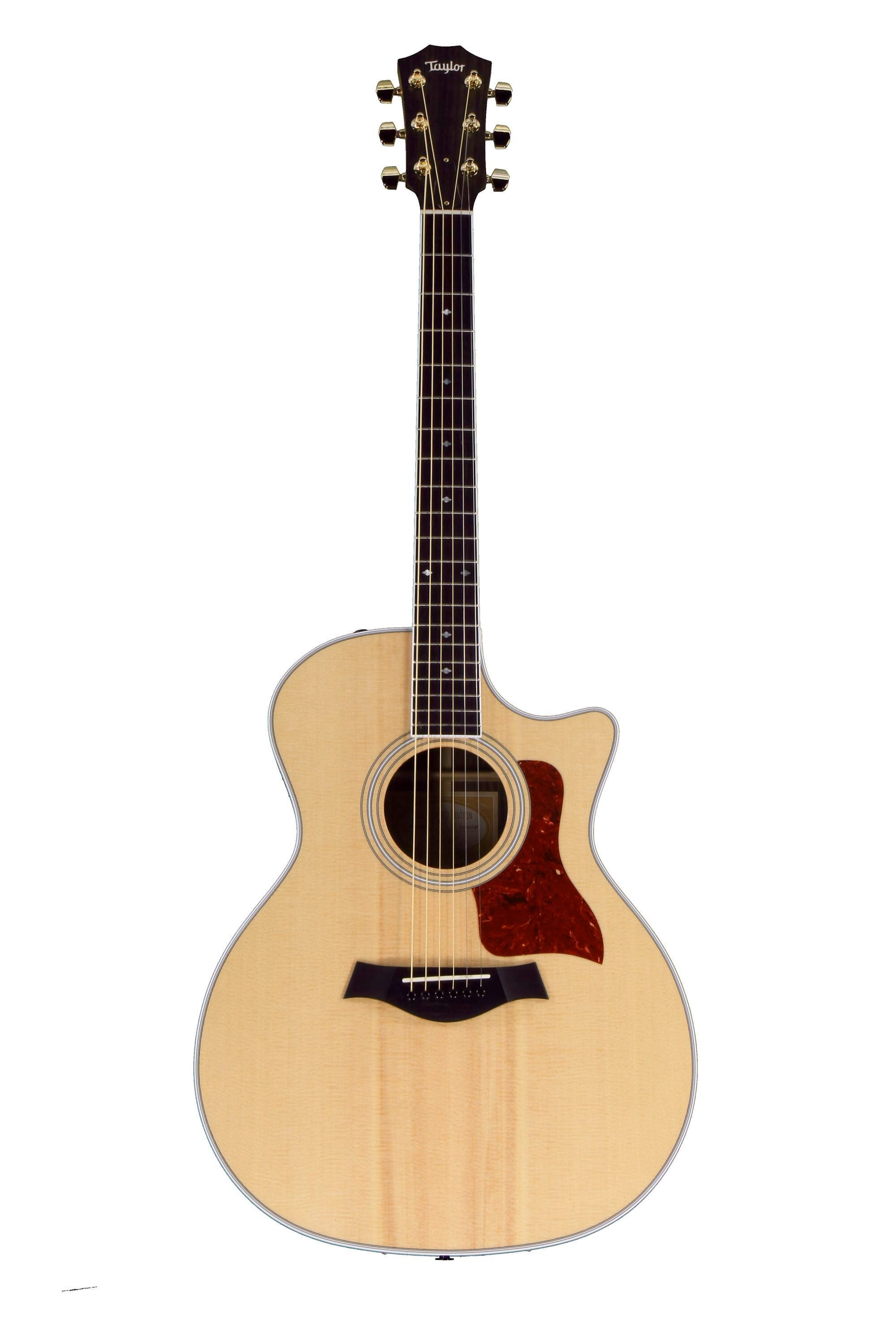 Taylor 414ce Fall Limited 2011 - 414ce | Sweetwater