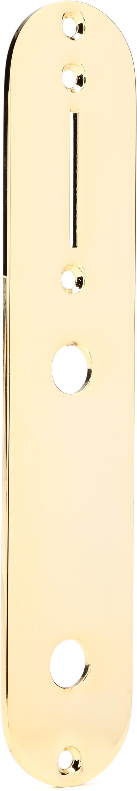 920D Custom 2-hole Telecaster Control Plate - Gold | Sweetwater
