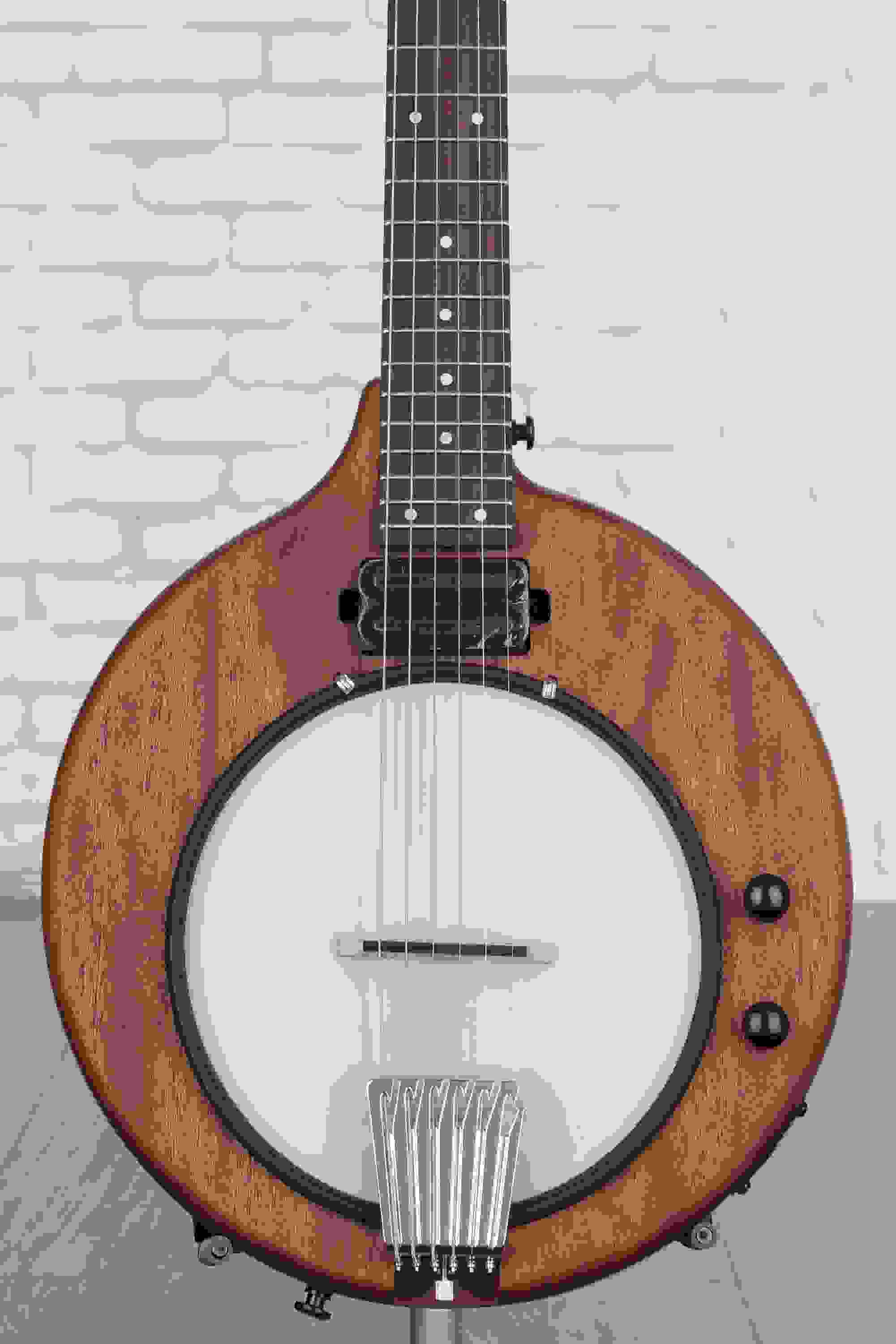 Gold Tone EB-6 6-string Electric Banjitar - Natural | Sweetwater