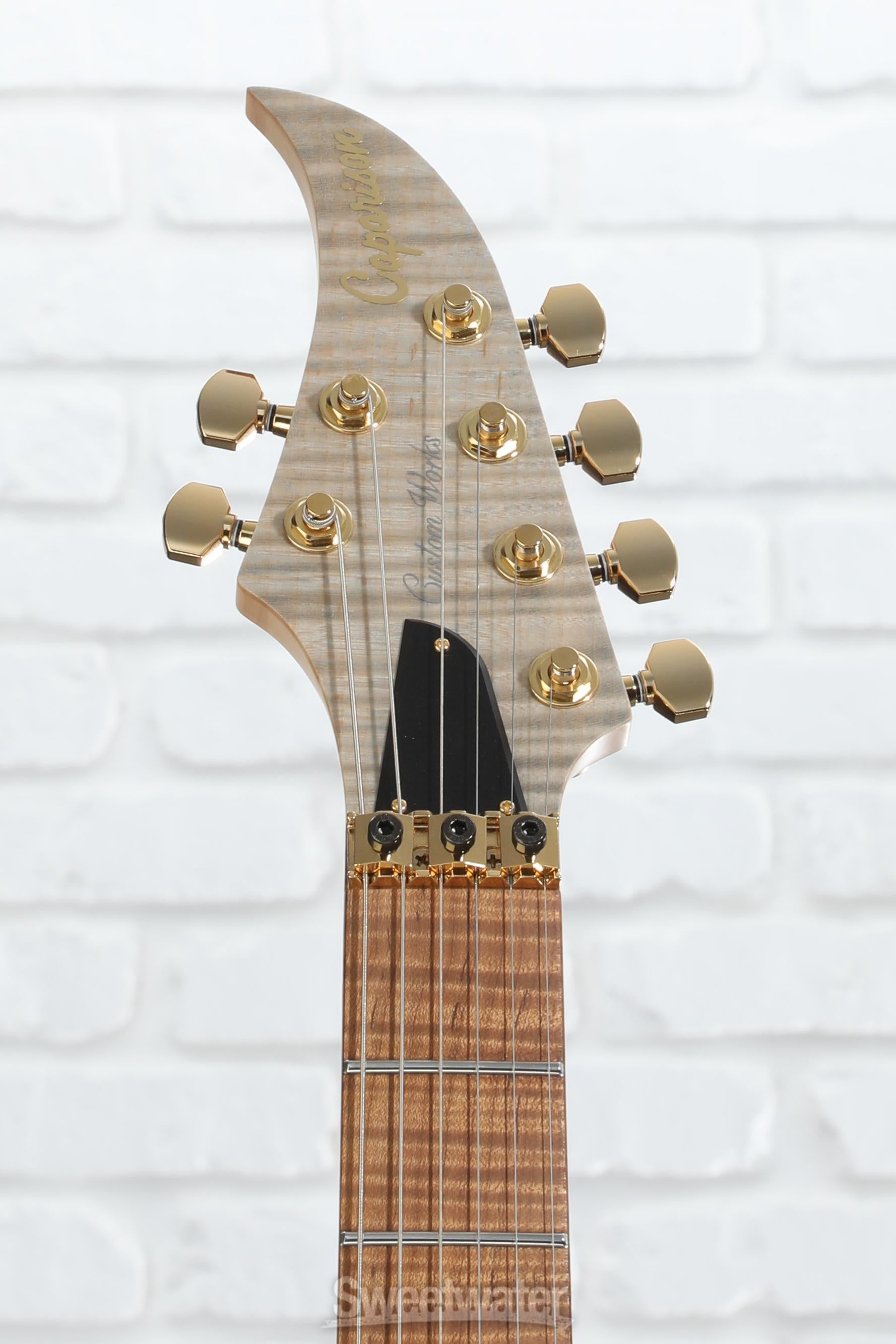 Caparison Guitars Dellinger Prominence Custom Works Electric Guitar ...