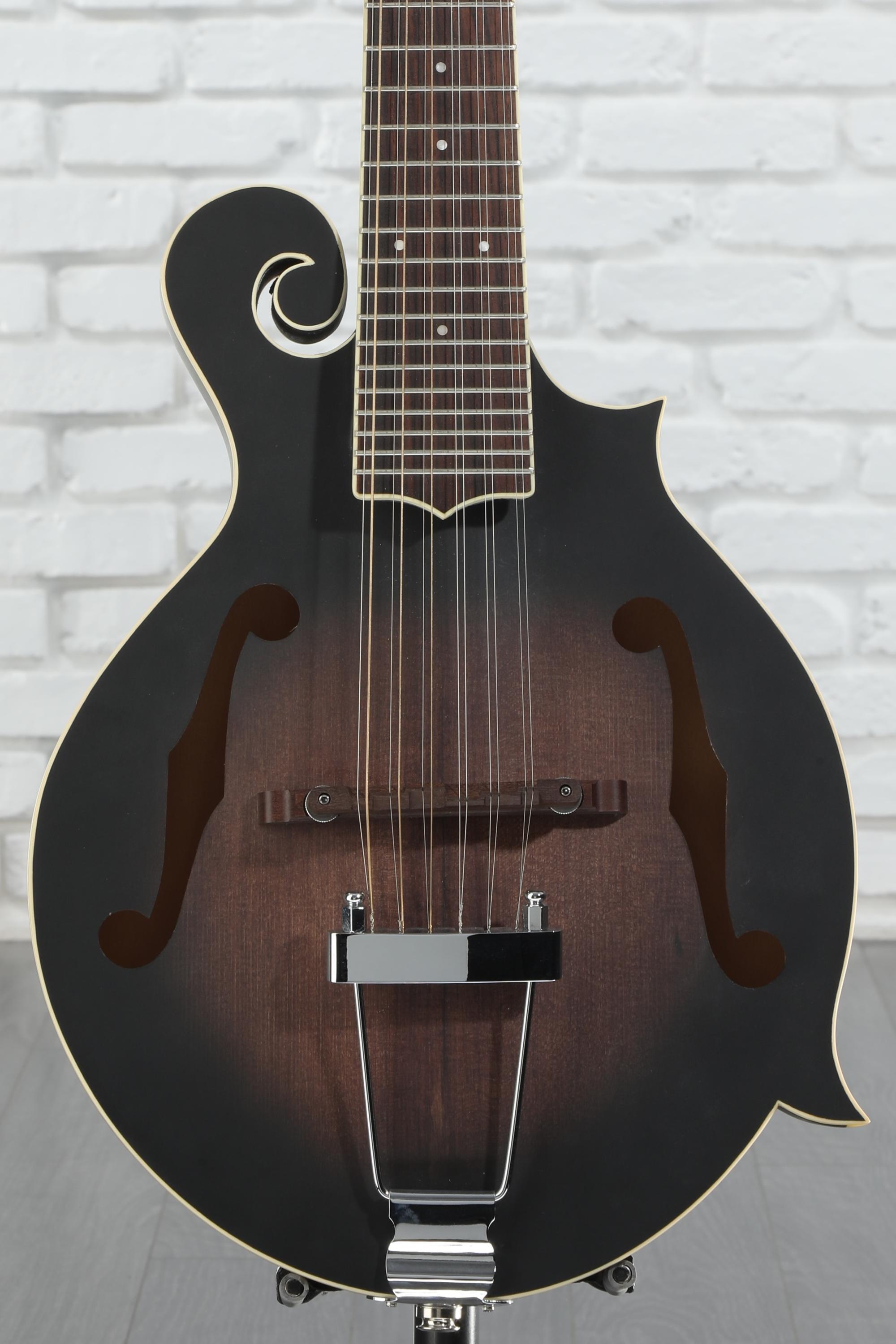 Gold Tone F-12 12-string Acoustic-electric Mando-Guitar - Tobacco ...