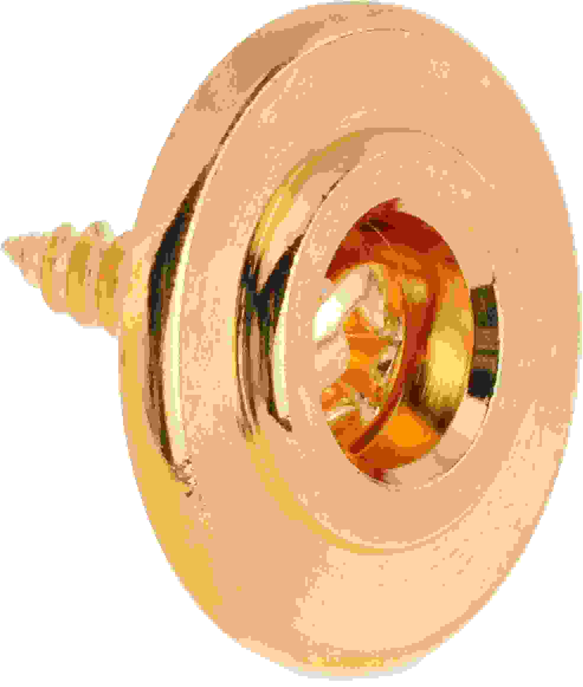 Gotoh RB20 Bass String Retainer - Gold | Sweetwater