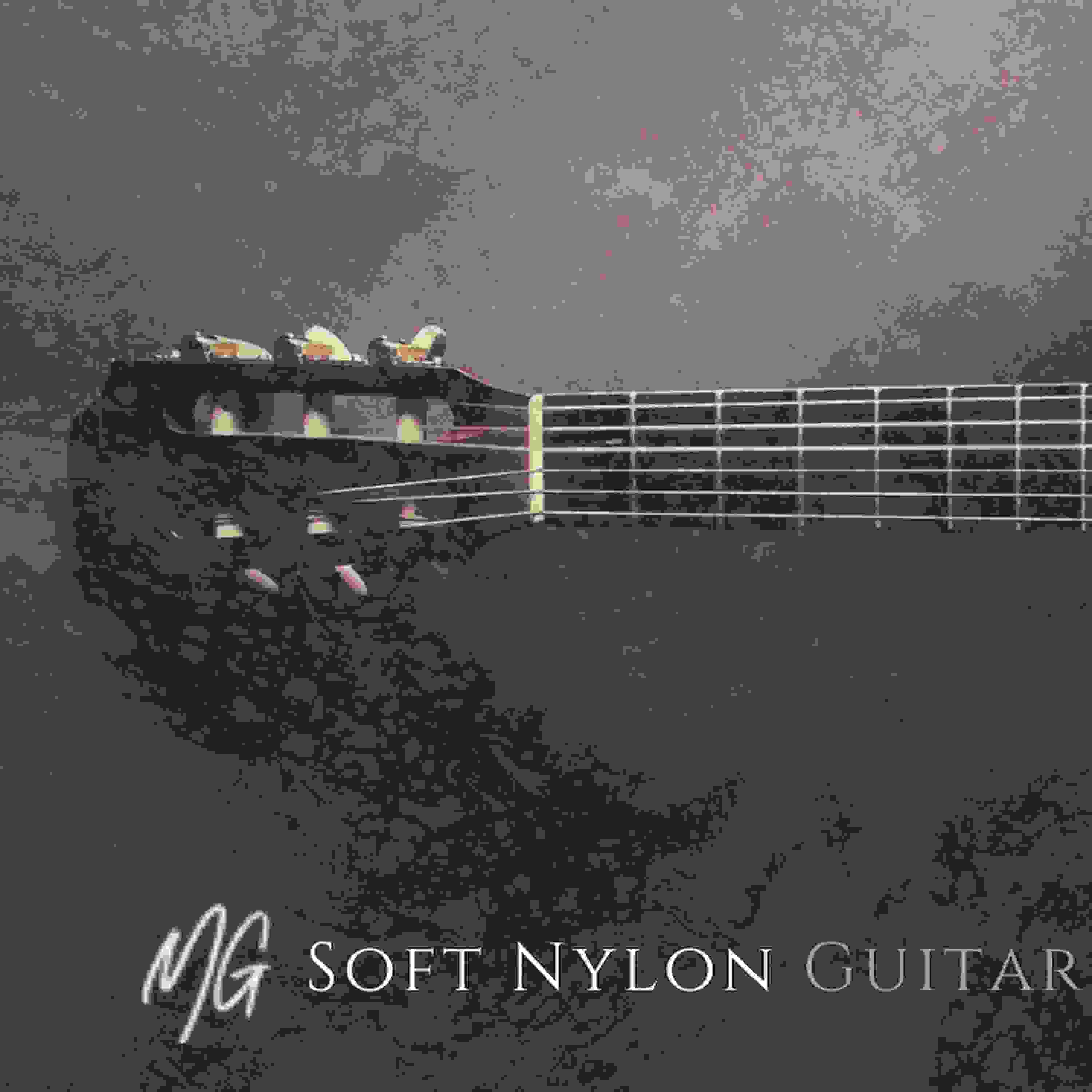 Spitfire Audio Soft Nylon Guitar Plug-in | Sweetwater