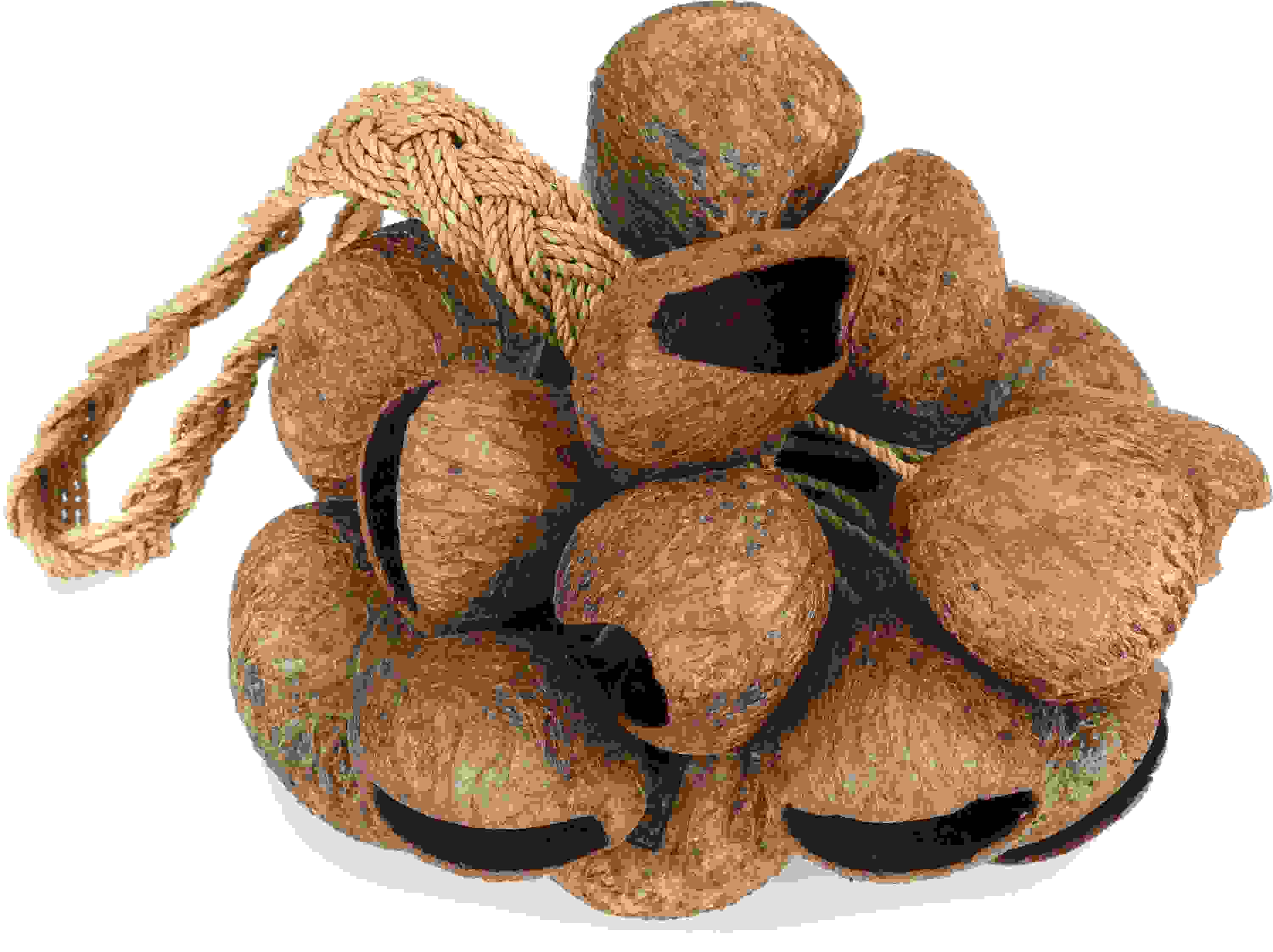 Toca Percussion Seed Shell Shaker | Sweetwater