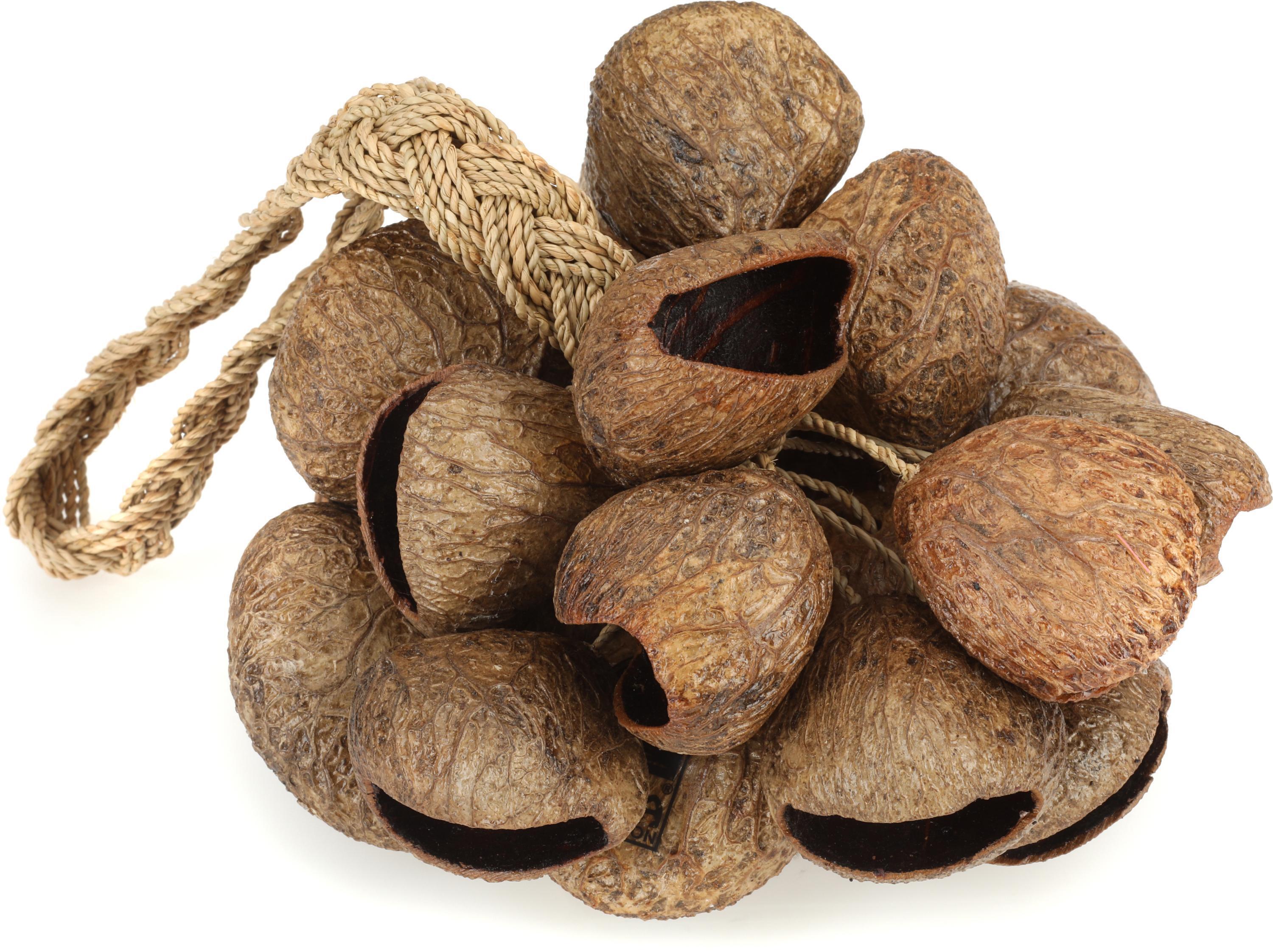 Toca Percussion Seed Shell Shaker | Sweetwater