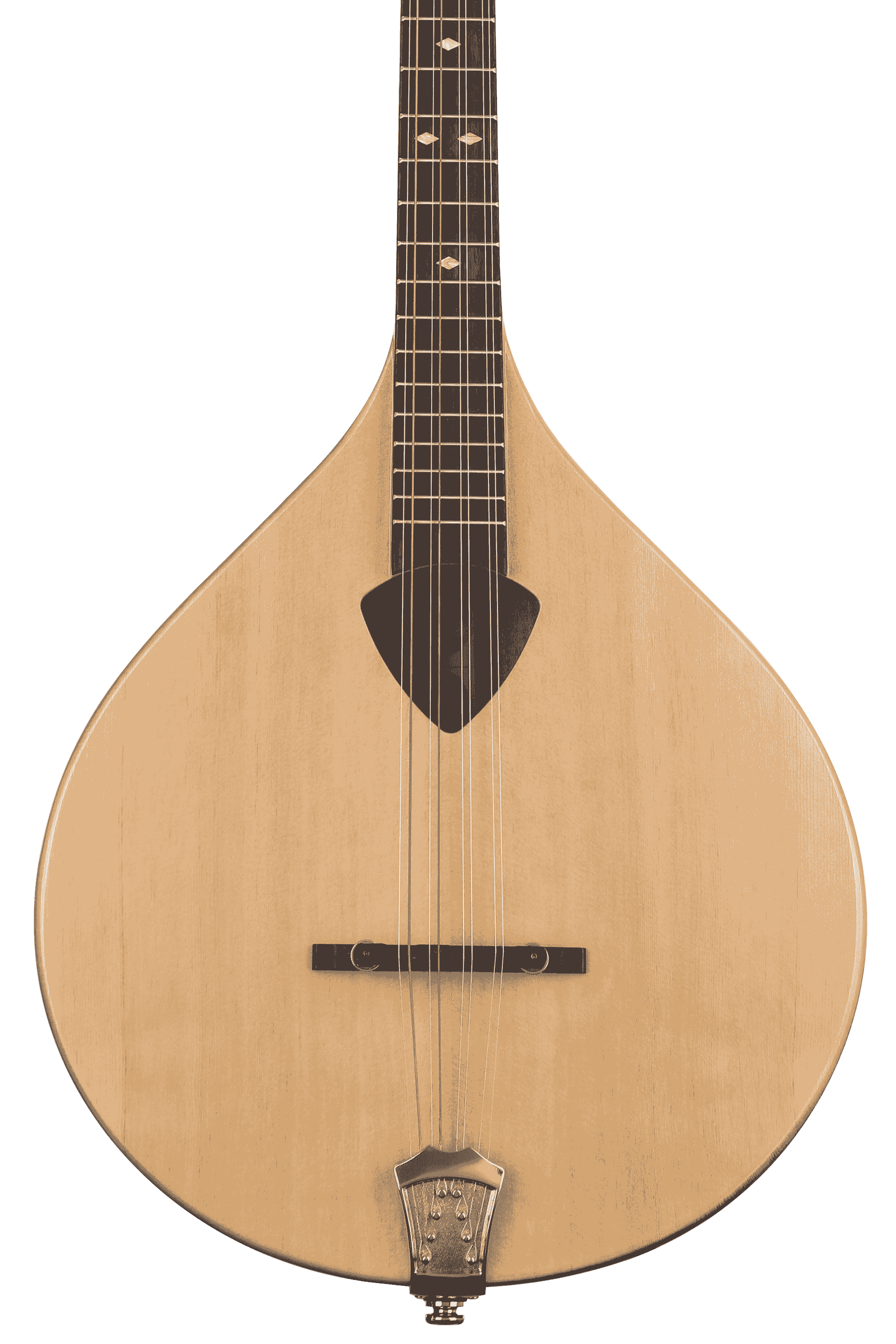 Gold Tone BZ-500 Irish Bouzouki Mandolin - Natural High Gloss | Sweetwater