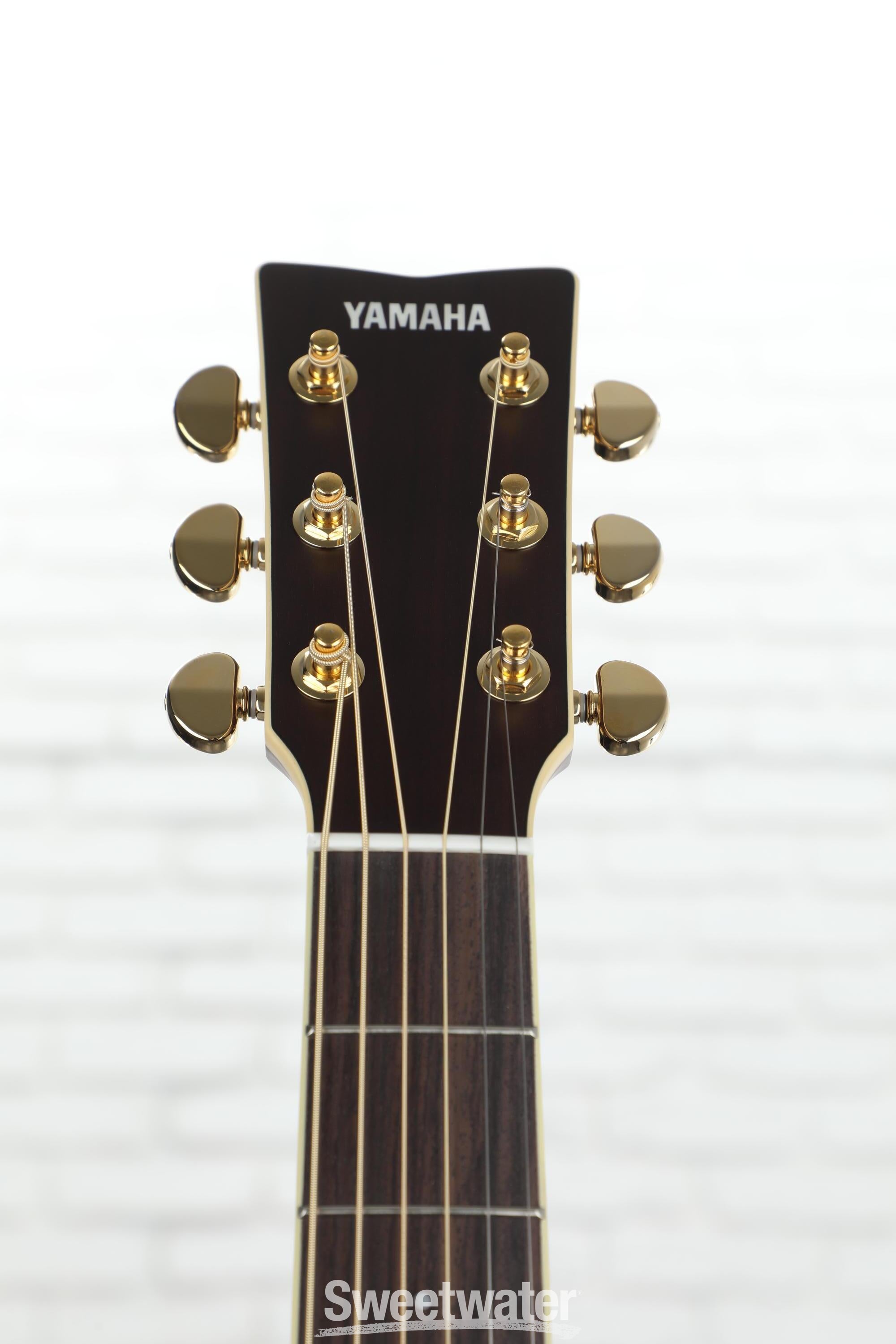 Yamaha LS6M ARE Concert - Natural | Sweetwater