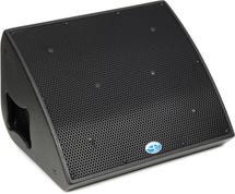 Danley Sound Labs FLX12 12-inch 300W Coaxial Passive Floor Monitor ...