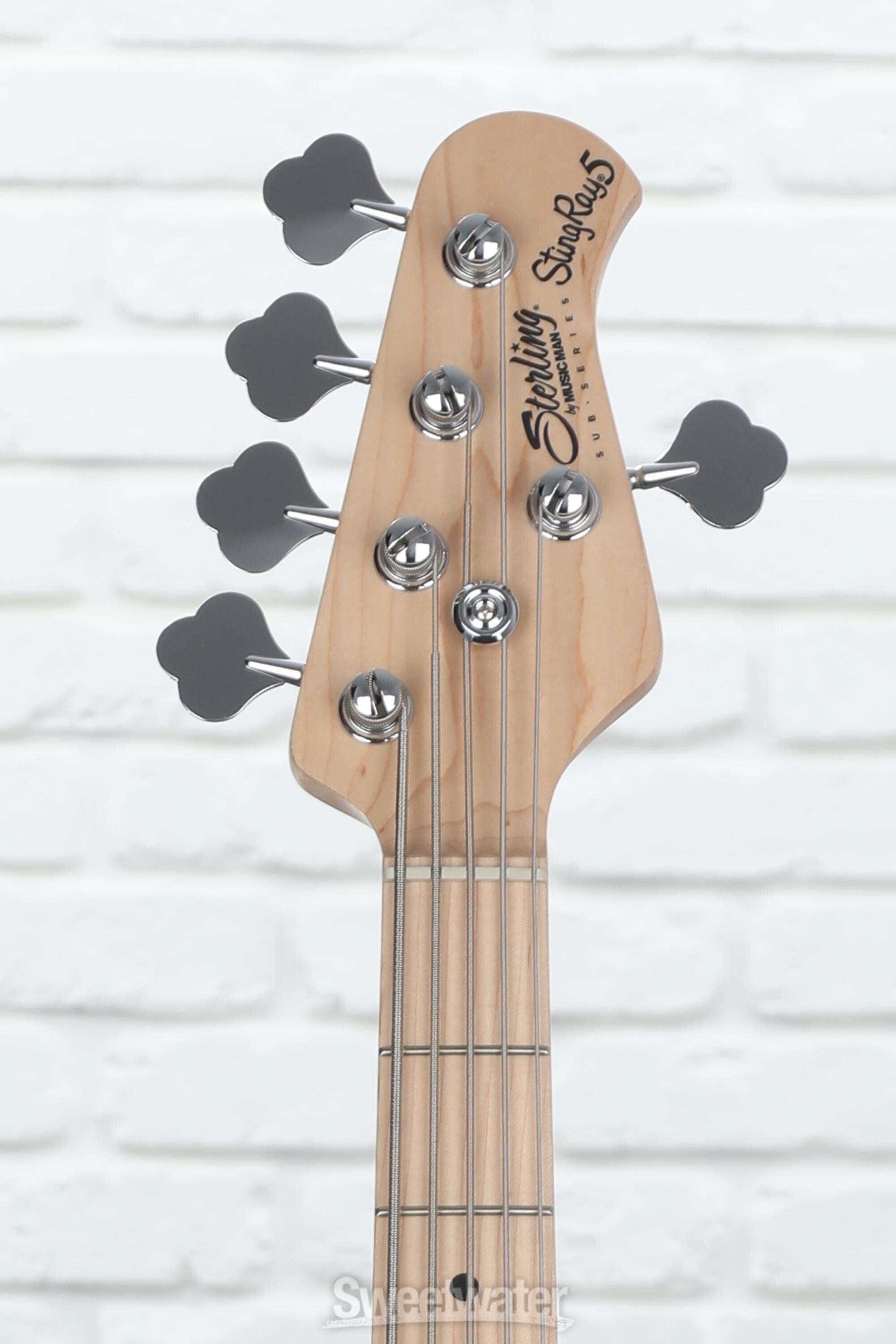 Sterling By Music Man StingRay RAY5 Dent and Scratch Bass Guitar - Mint ...