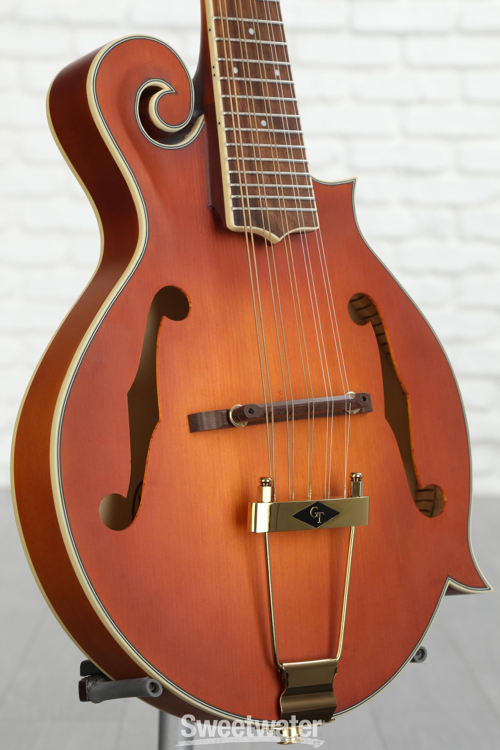 Gold Tone F-10 10-string F-Style Acoustic-electric Mandolin | Sweetwater