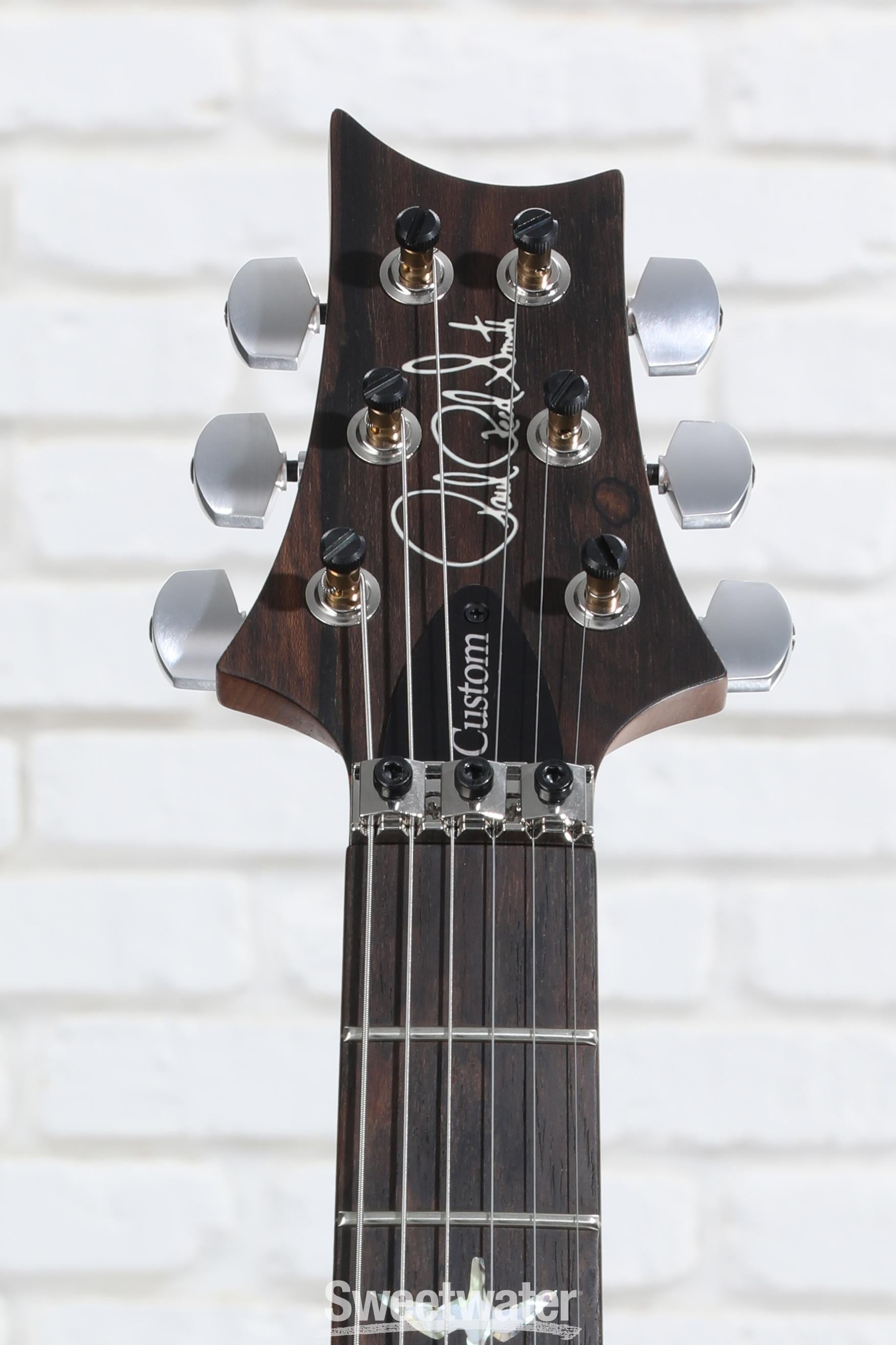 PRS Wood Library Custom 24 Floyd - Satin Seafoam Green | Sweetwater