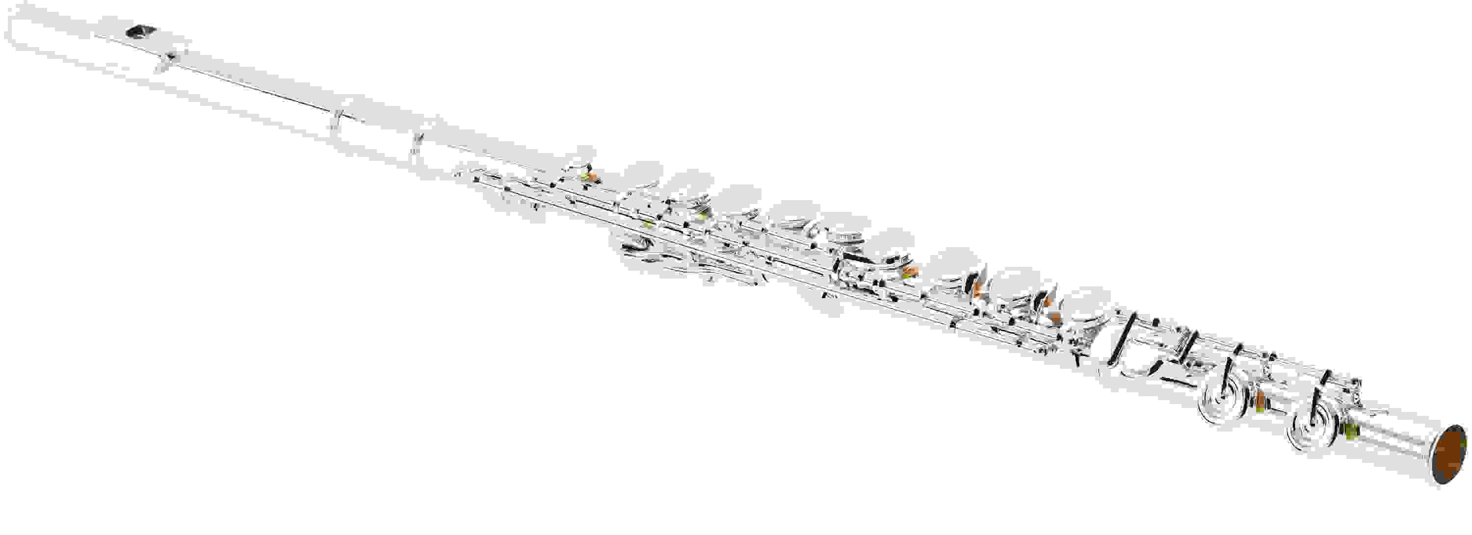 Selmer SFL301CG Student Flute Silver-Plated with Offset G Key System ...