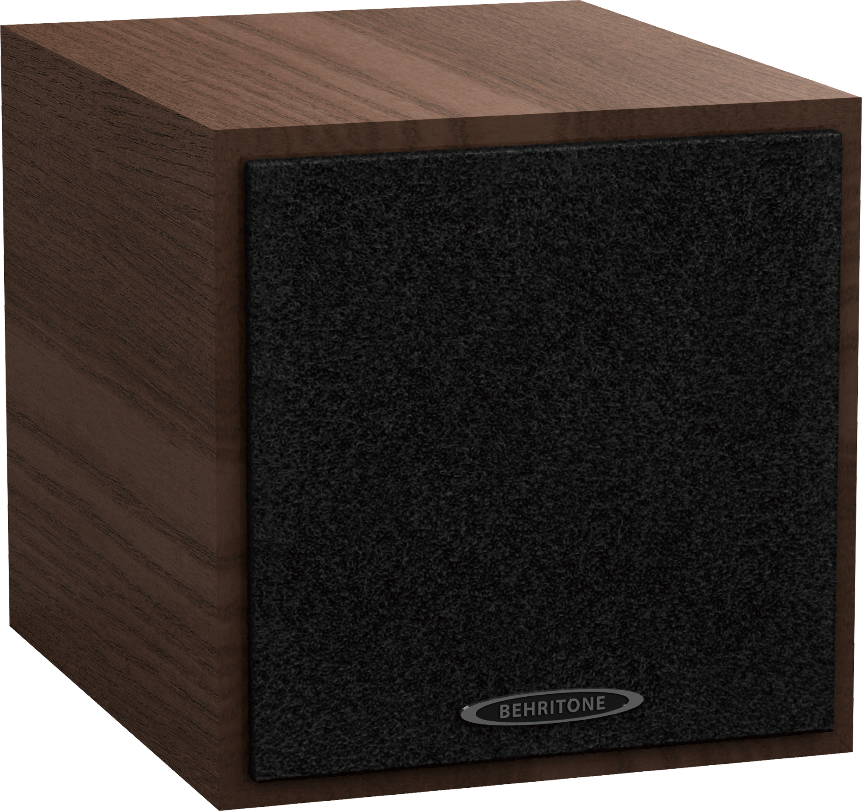 Behringer Behritone C5A Vintage-style 30 Watt Active Full Range ...