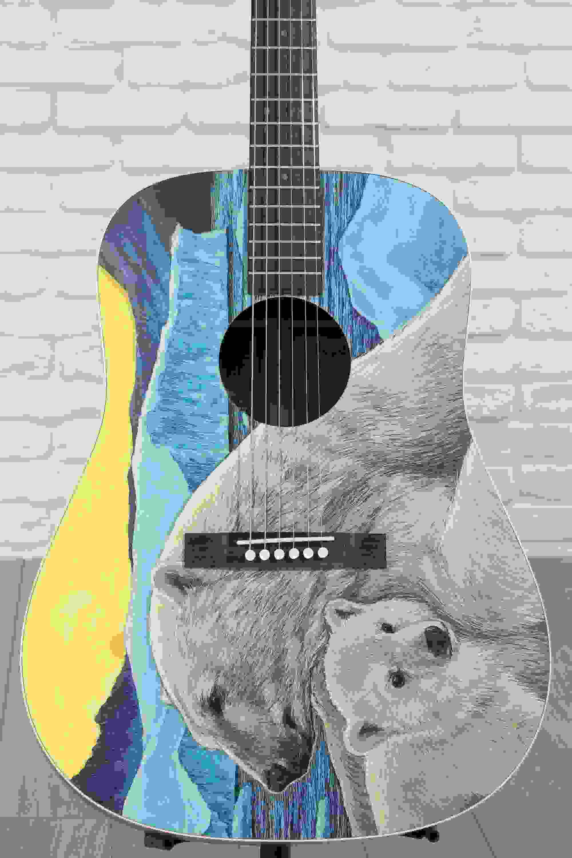 Martin D Biosphere III Acoustic Guitar - Printed Top with Polar Bear ...