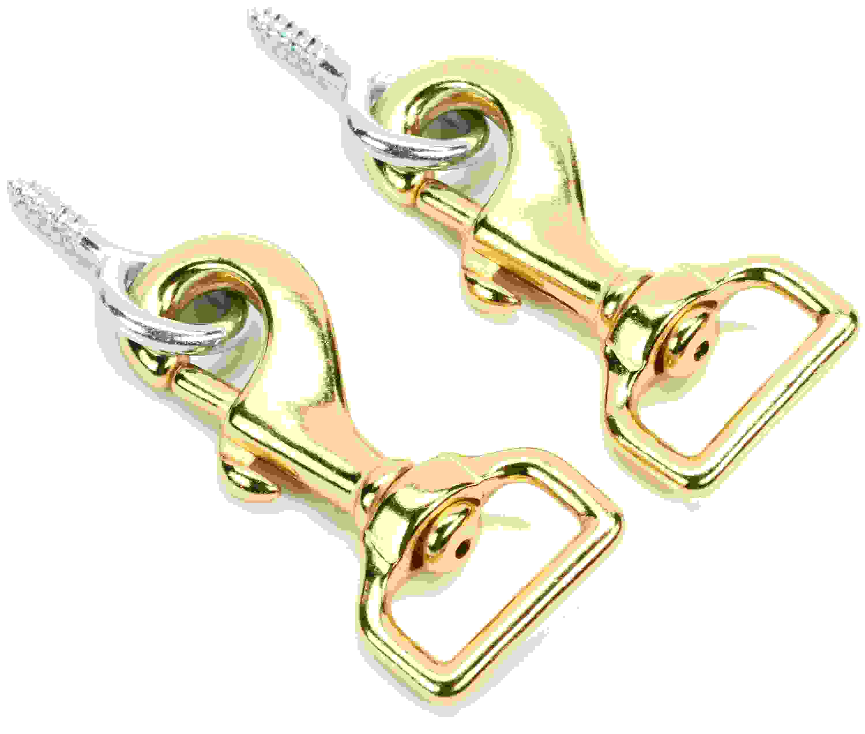 EVH Strap Clasps With Eye Hooks | Sweetwater