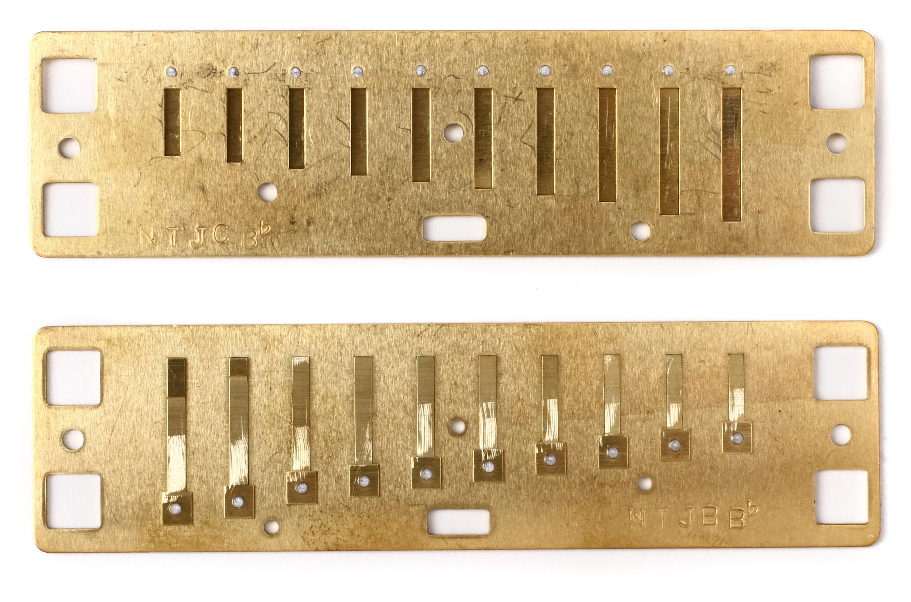 Lee Oskar Major Diatonic Harmonica Reed Plates - Key of B Flat | Sweetwater