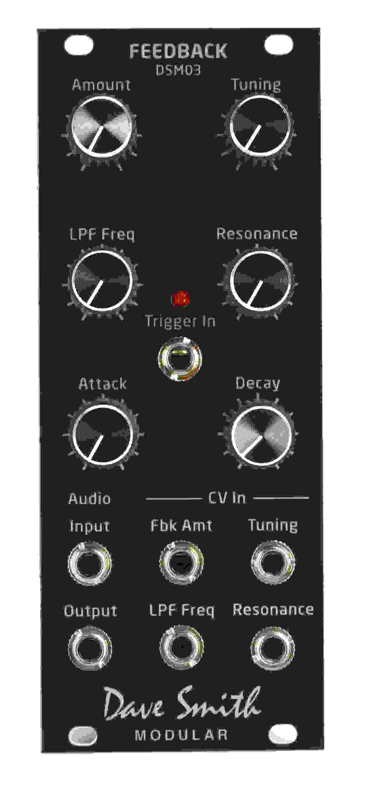Dave Smith Instruments DSM03 Tuned Feedback Eurorack Module | Sweetwater