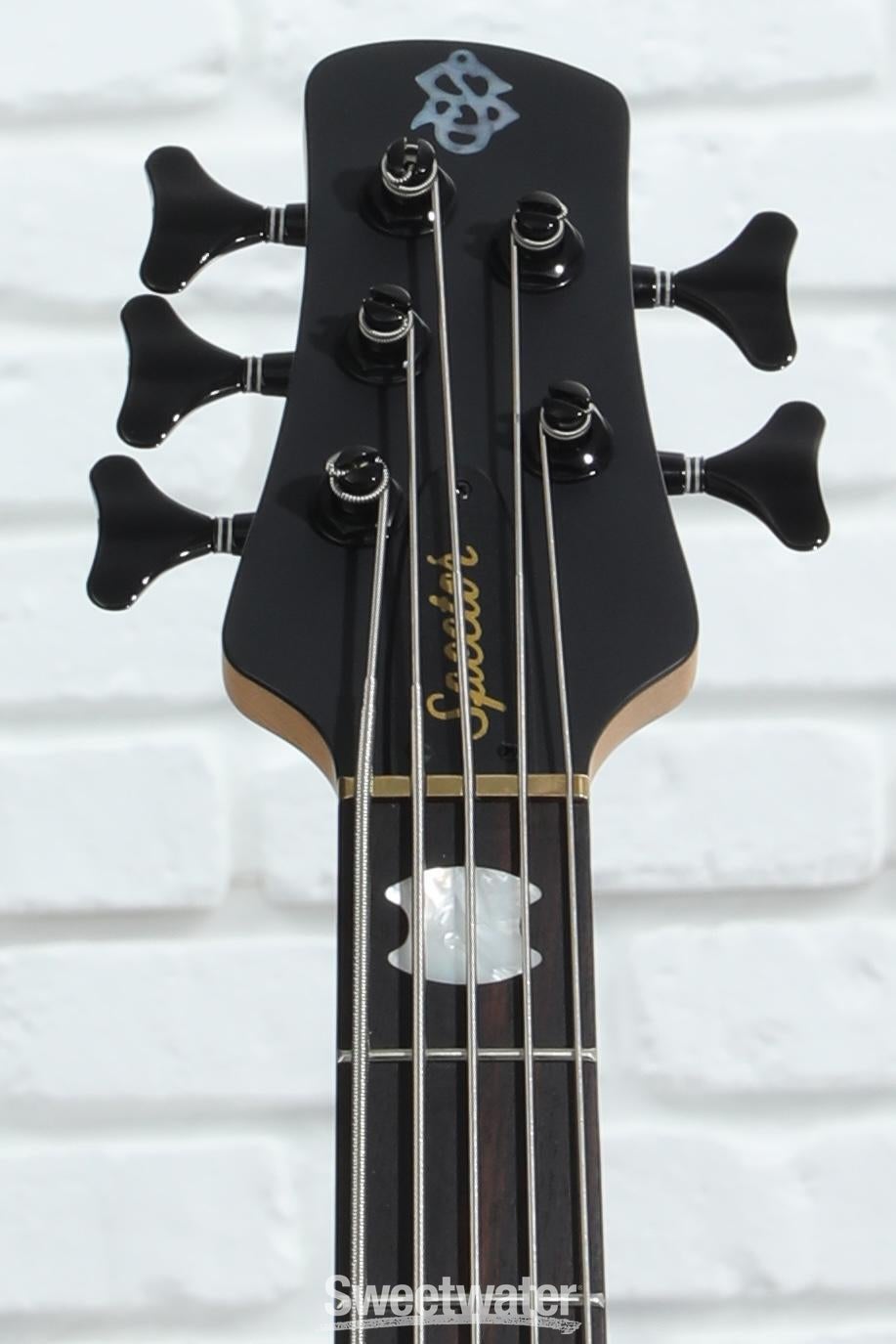 Spector Euro 5 LX Bolt-On Electric Bass Guitar - Haunted Moss | Sweetwater