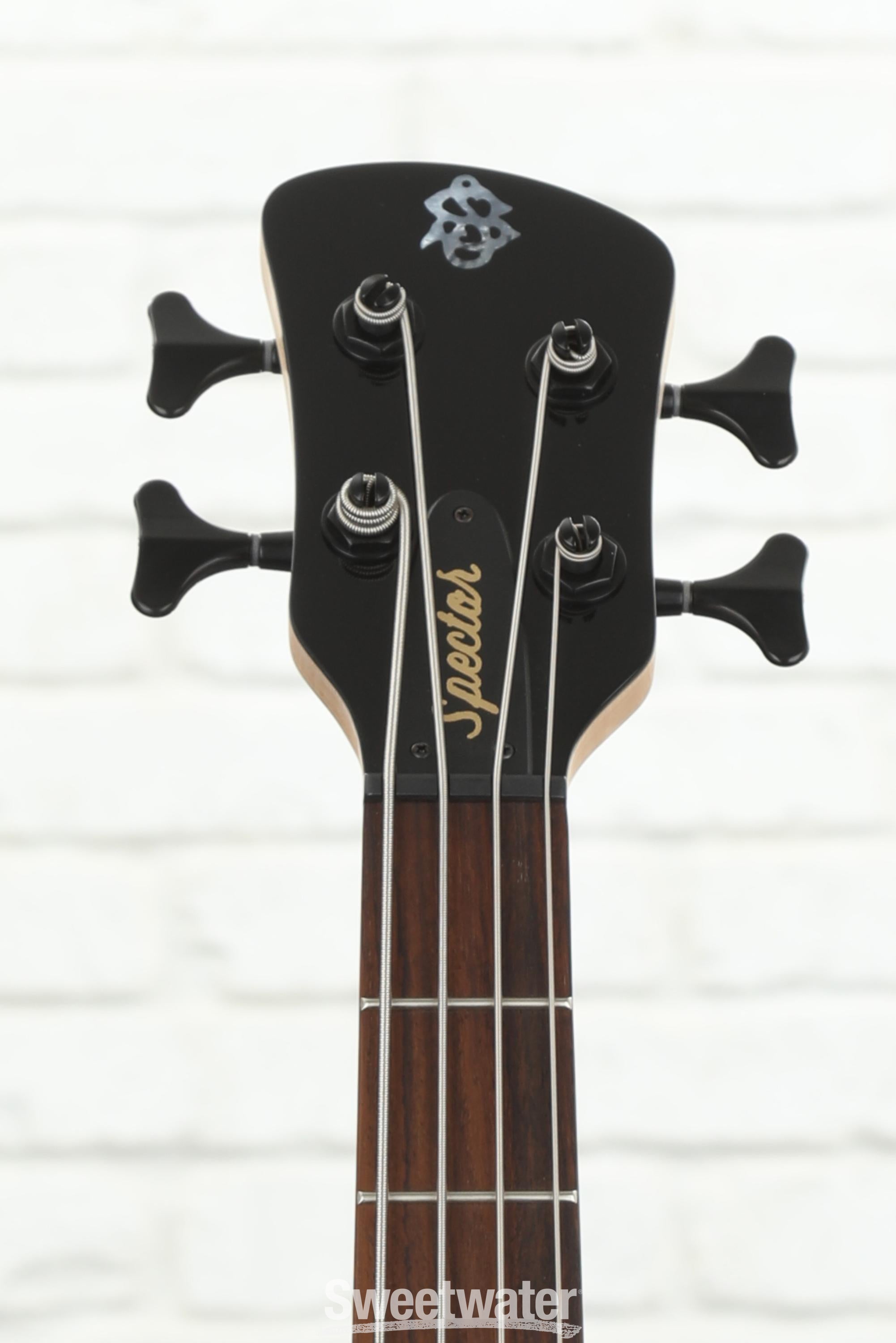 Spector Bantam 4 Bass Guitar - Black Cherry Gloss | Sweetwater
