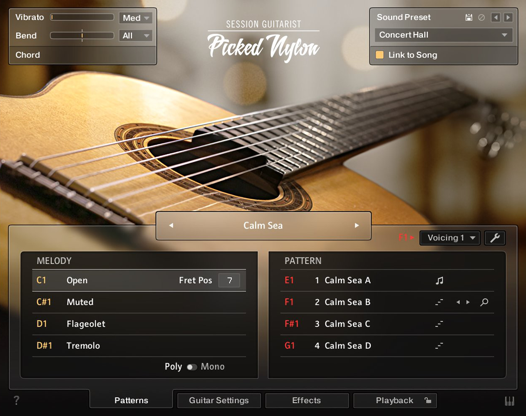 Native Instruments Session Guitarist Picked Nylon Virtual Instrument Library | Sweetwater