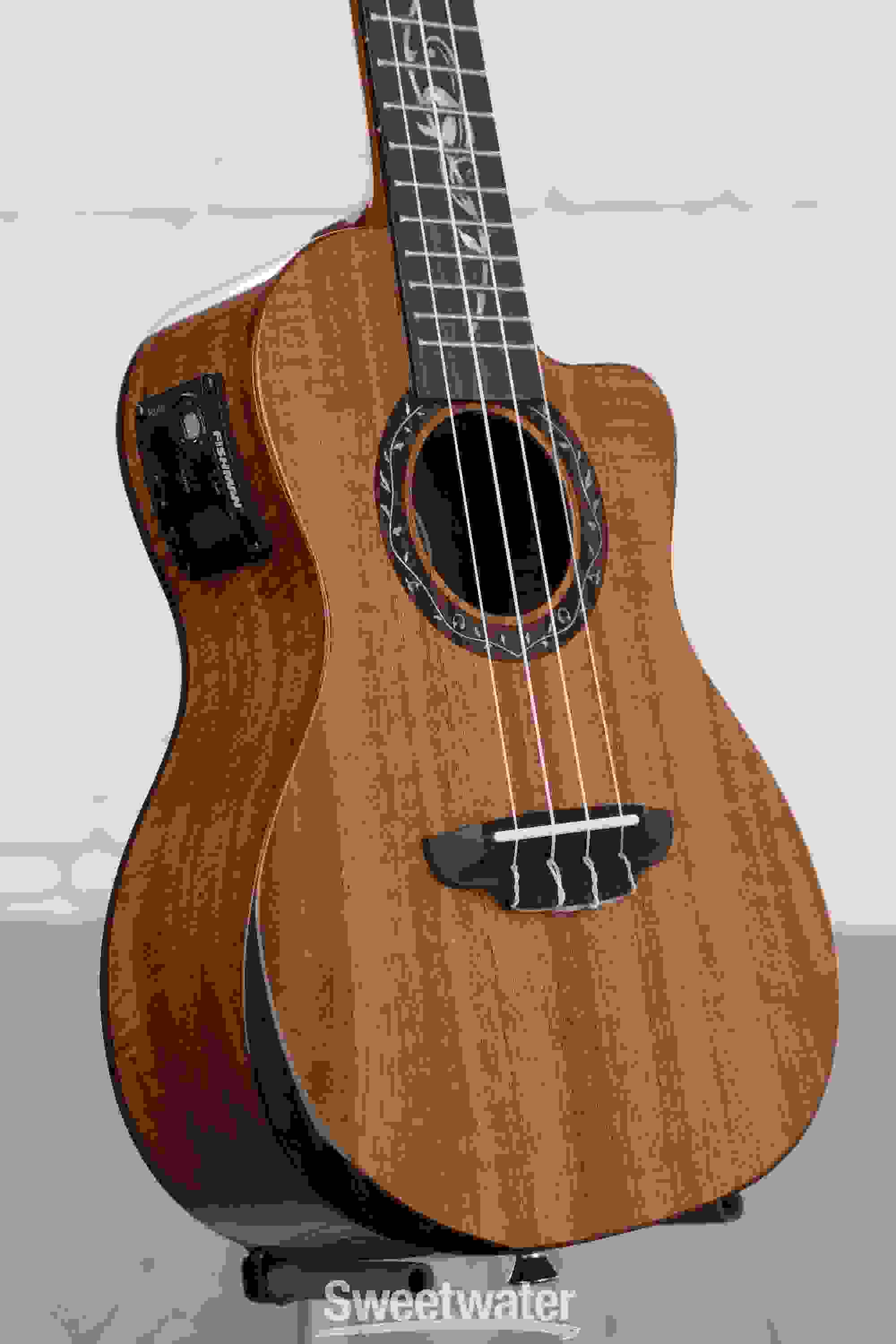 Luna Vineyard Koa Bevel Acoustic-electric Concert Ukulele - Natural ...