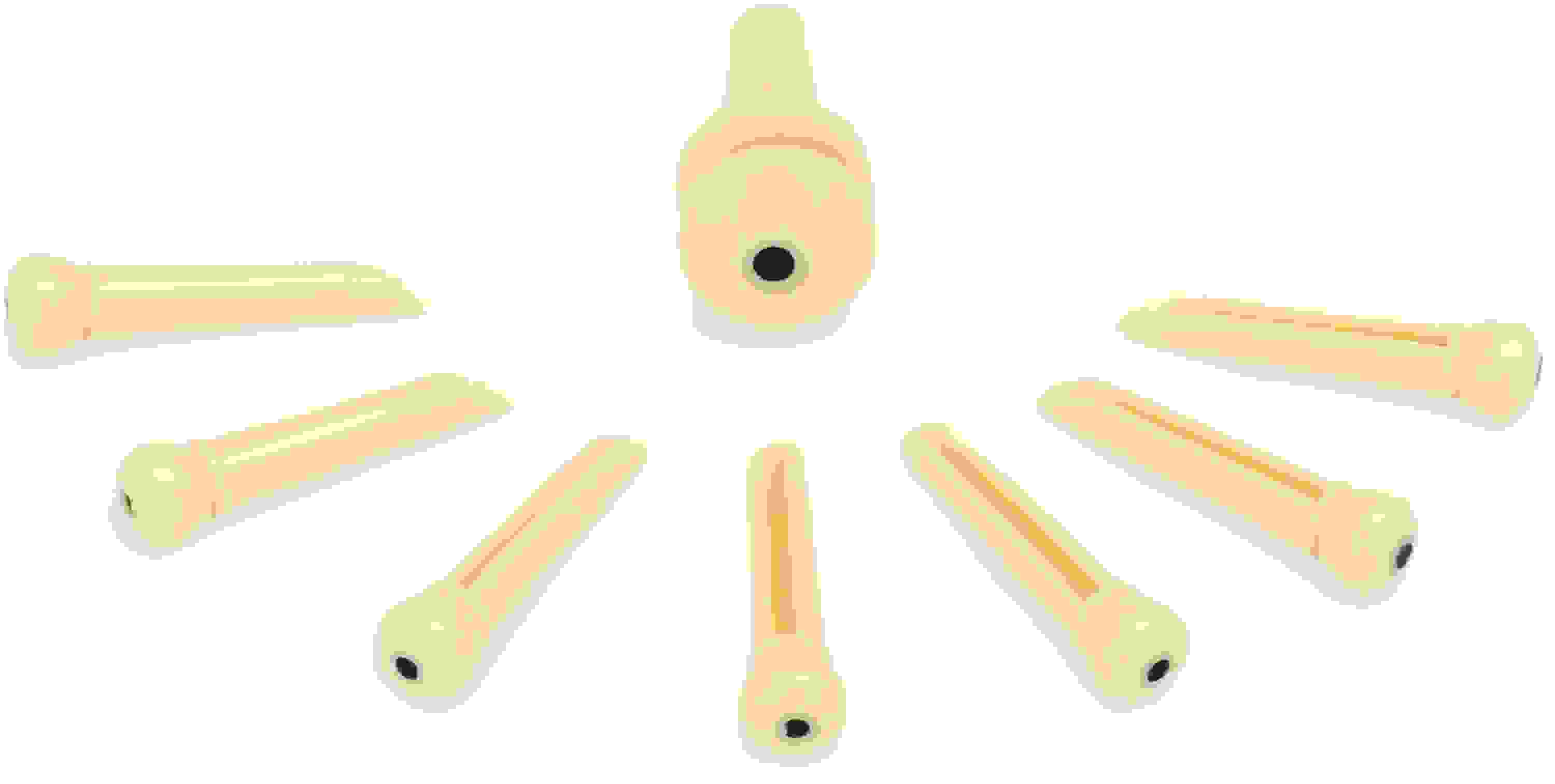 D'Addario Plastic Bridge Pins (set of 6) with End Pin - Ivory with ...