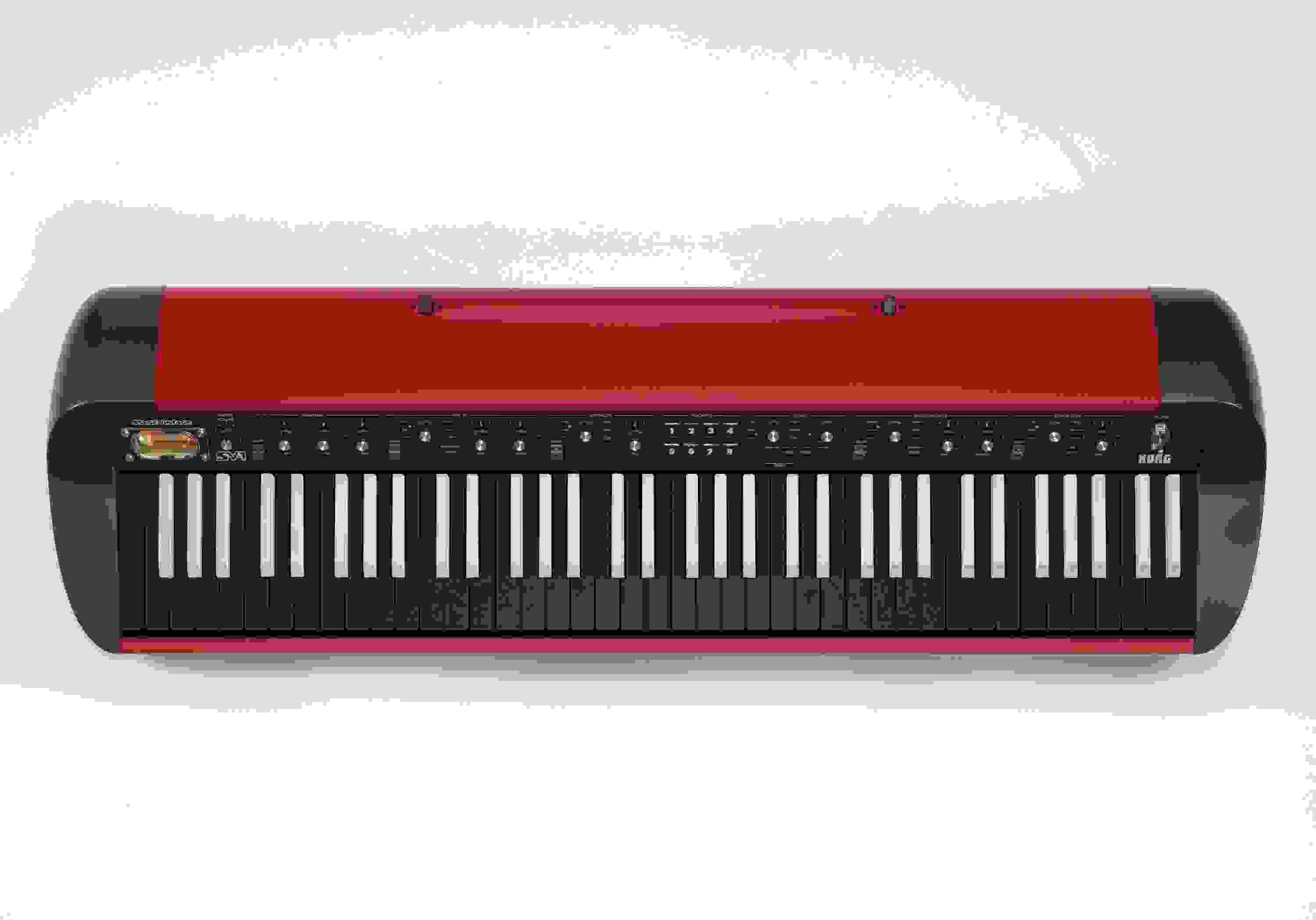 Korg SV-1 73 - Reverse Keys Limited Edition | Sweetwater