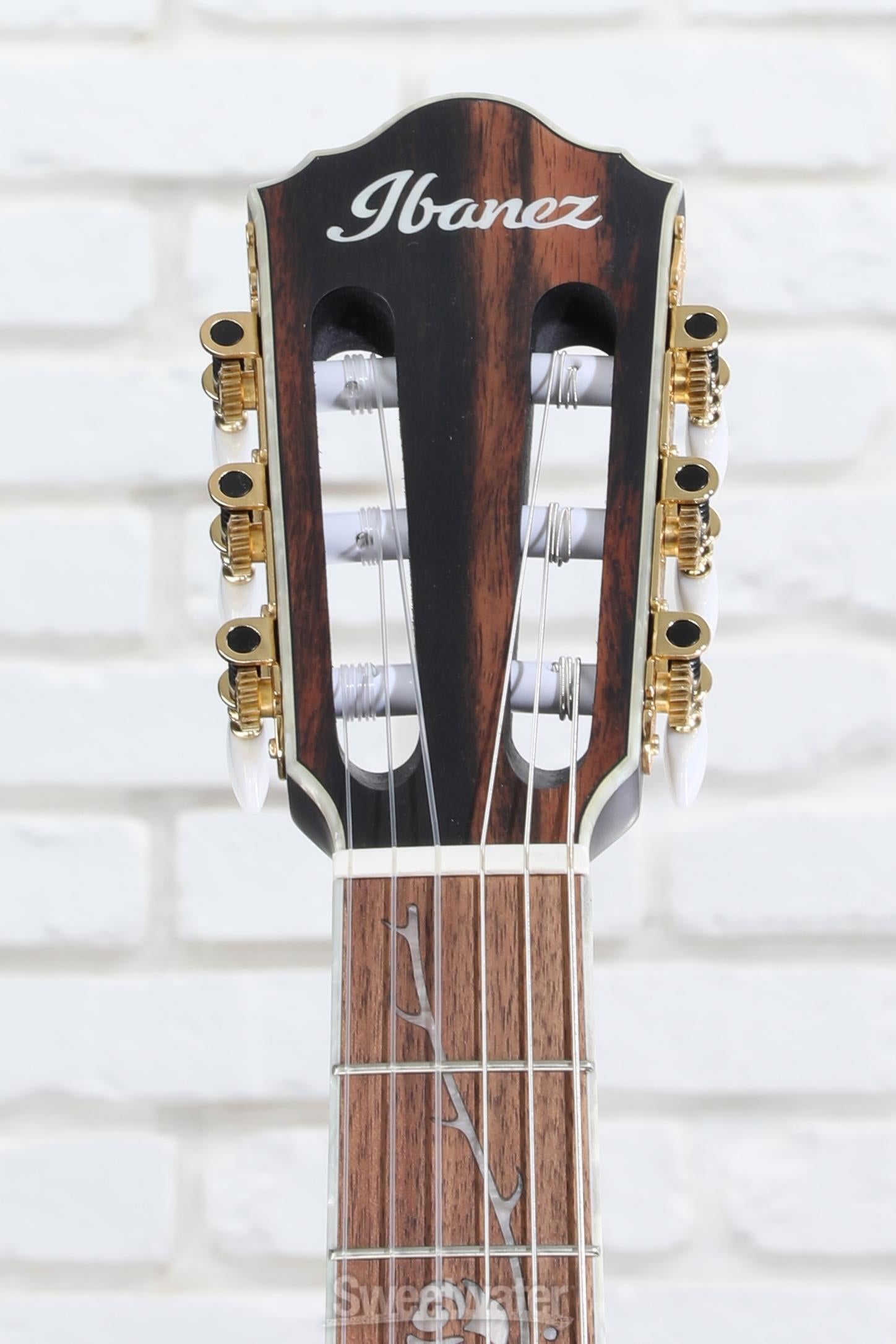 Ibanez TOD10N Tim Henson Signature Left-handed Nylon Acoustic-electric ...