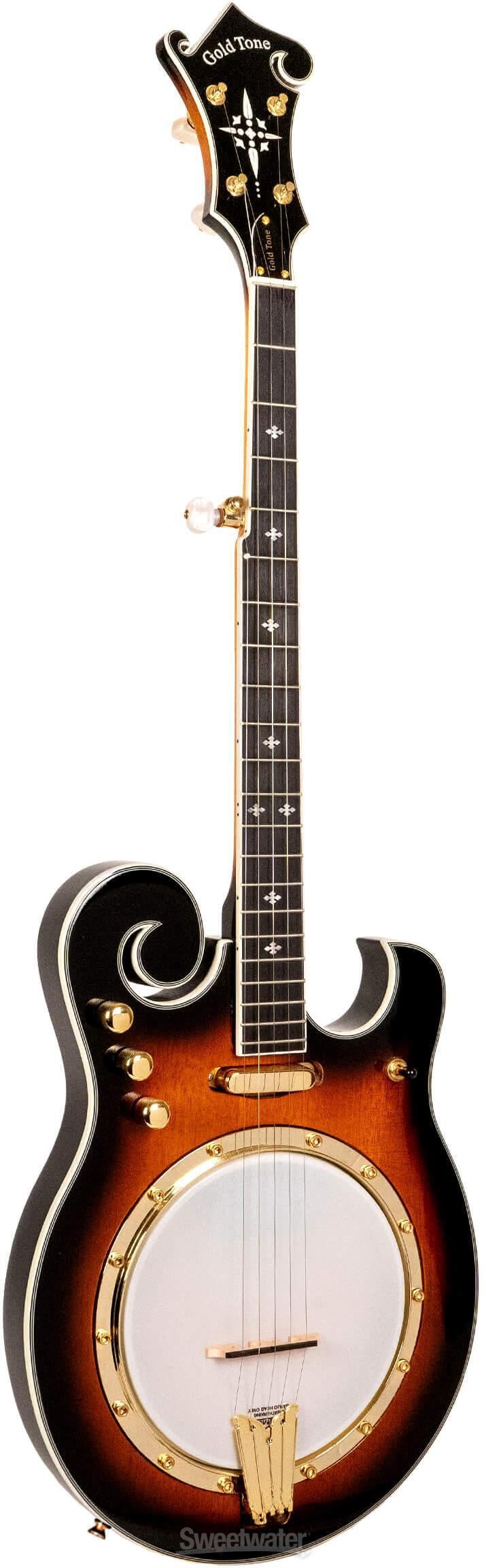 Gold Tone EBM-5 5-string Electric Banjo - Tobacco Sunburst | Sweetwater