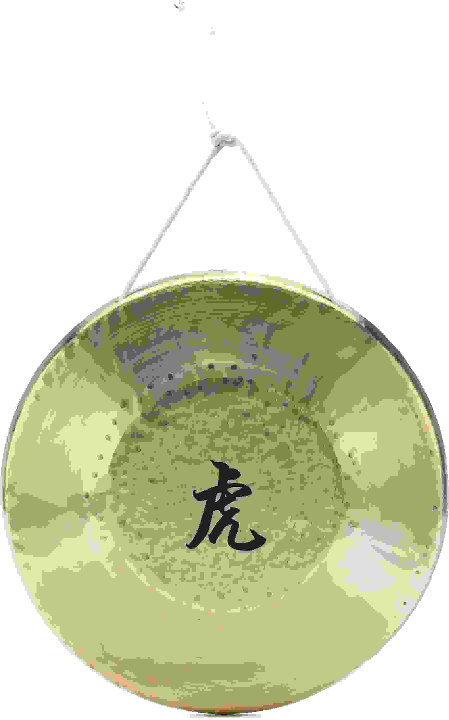 Meinl Sonic Energy TG-14 14-inch Tiger Gong | Sweetwater