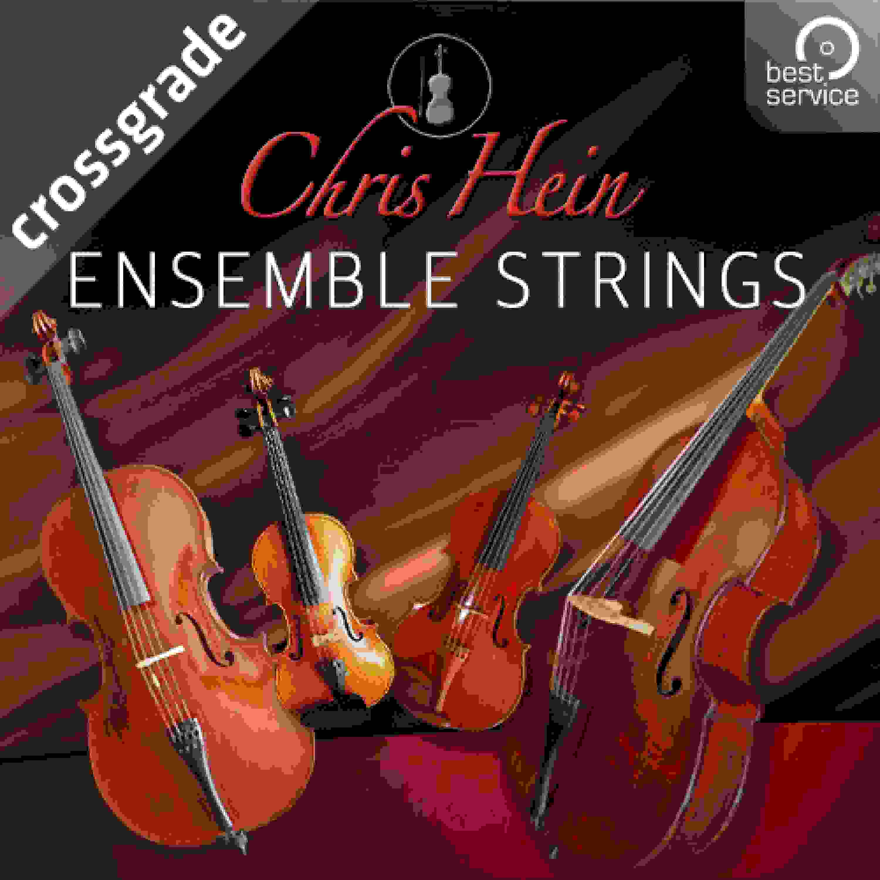 Best Service Chris Hein Ensemble Strings Crossgrade - Previous owner of C.H. Solo String Inst ...