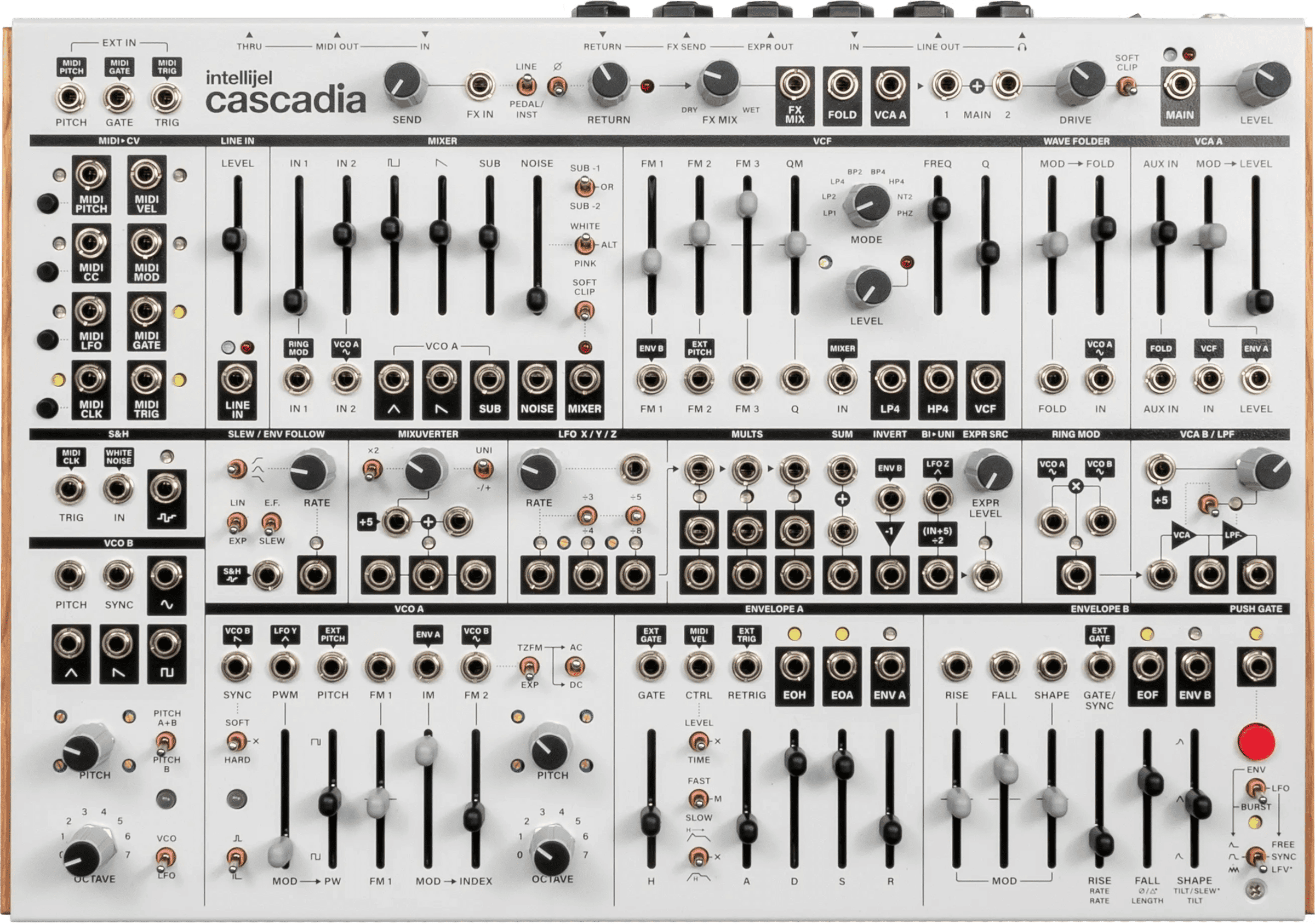 Intellijel Cascadia Monophonic Semi-modular Analog Synthesizer - White ...