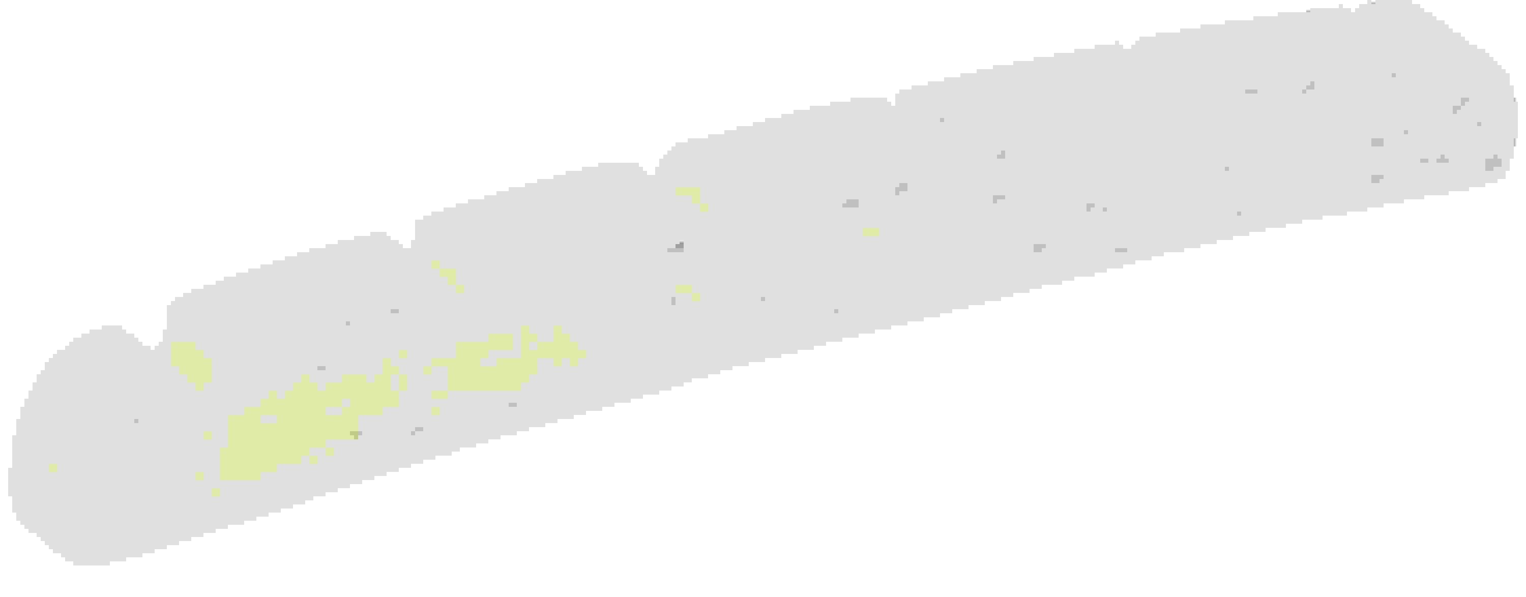 Fender Vintage-Style Stratocaster-Telecaster Pre-Slotted Genuine Bone ...