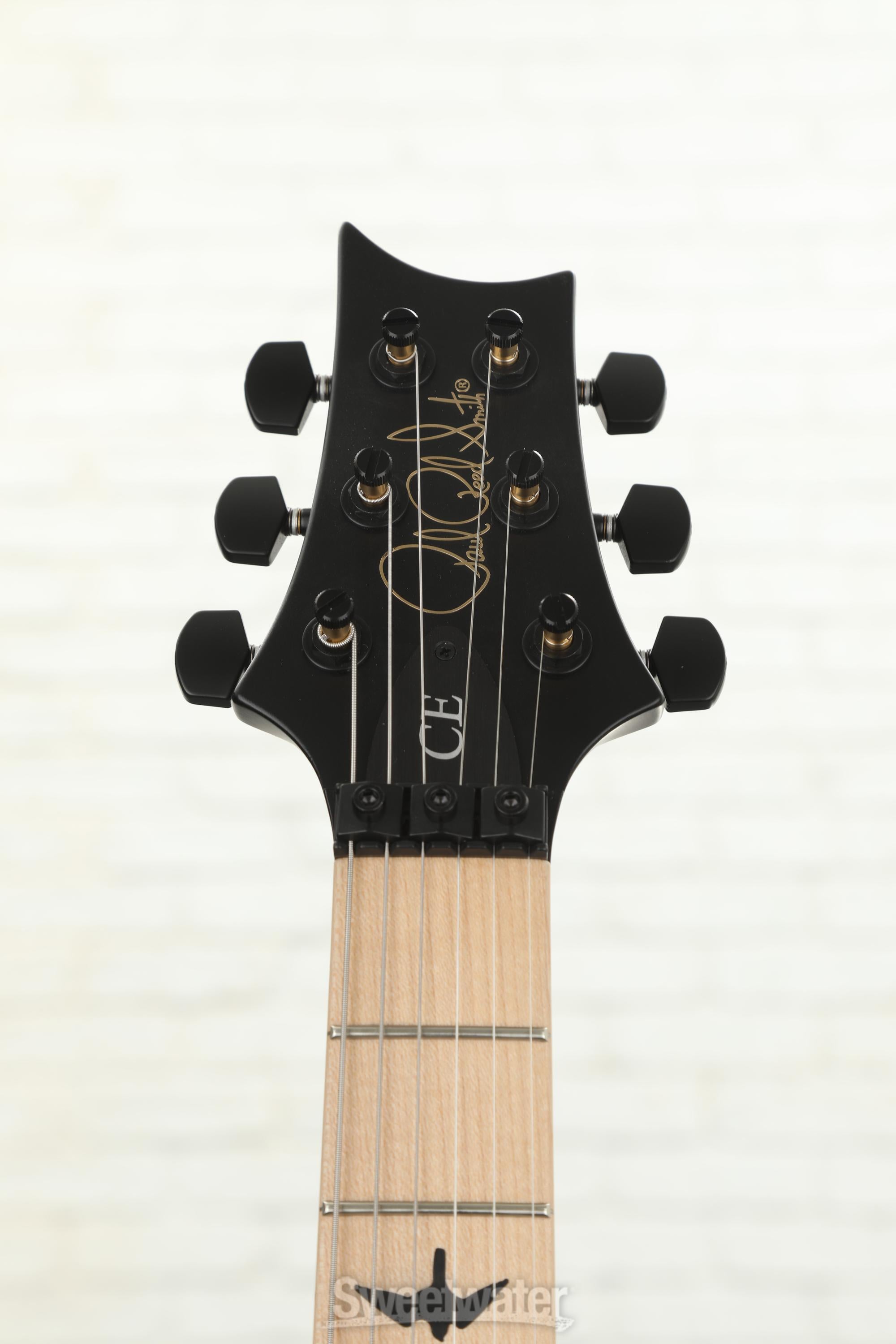 PRS DW CE 24 "Floyd" Electric Guitar - Waring Burst | Sweetwater