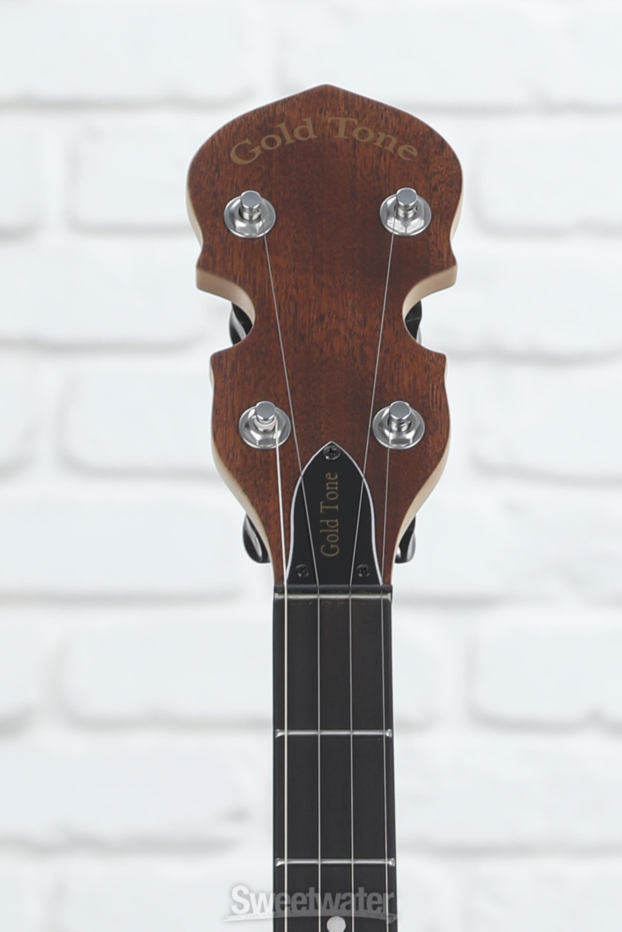 Gold Tone EB-5 5-string Electric Banjo - Natural | Sweetwater