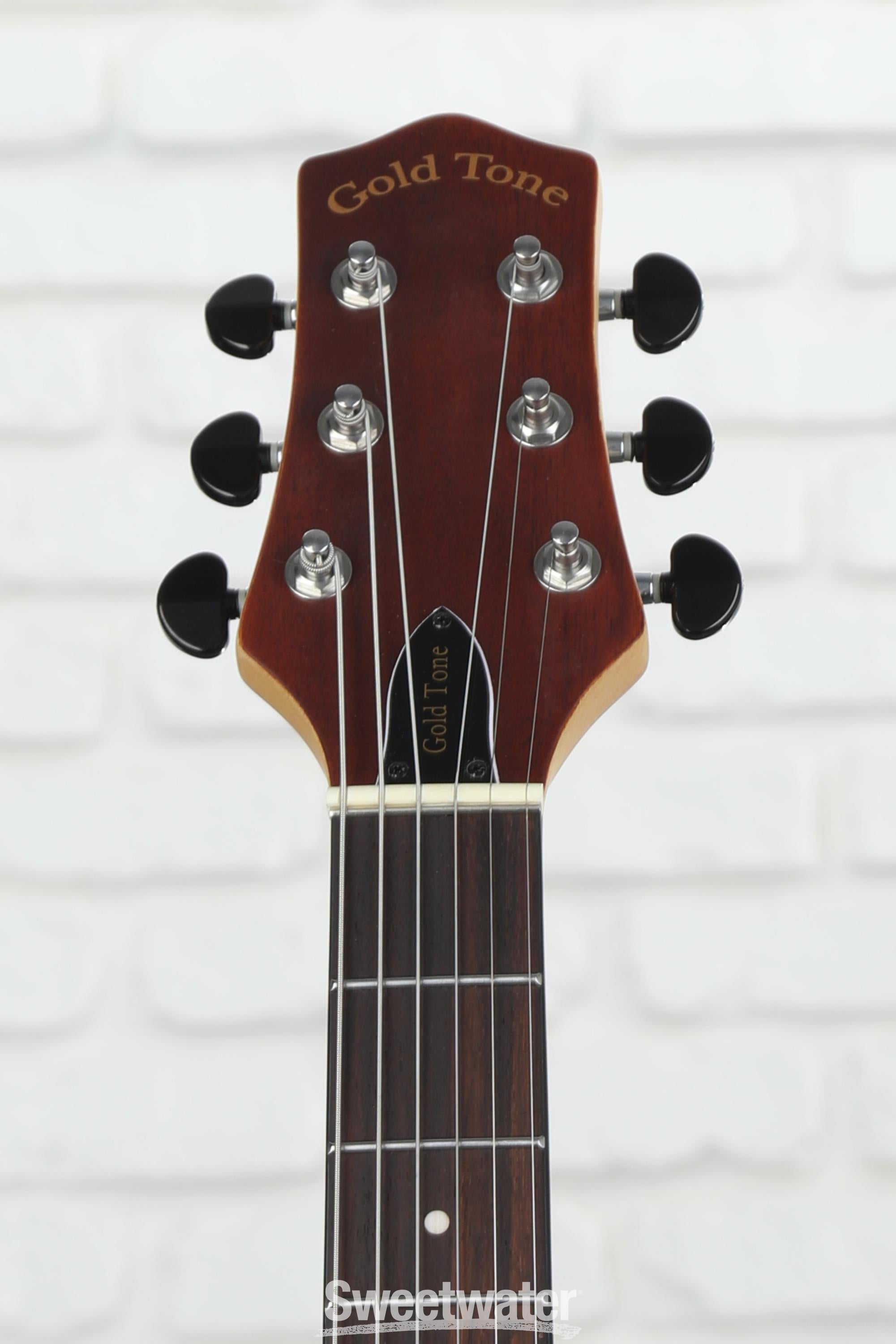 Gold Tone EB-6 6-string Electric Banjitar - Natural | Sweetwater