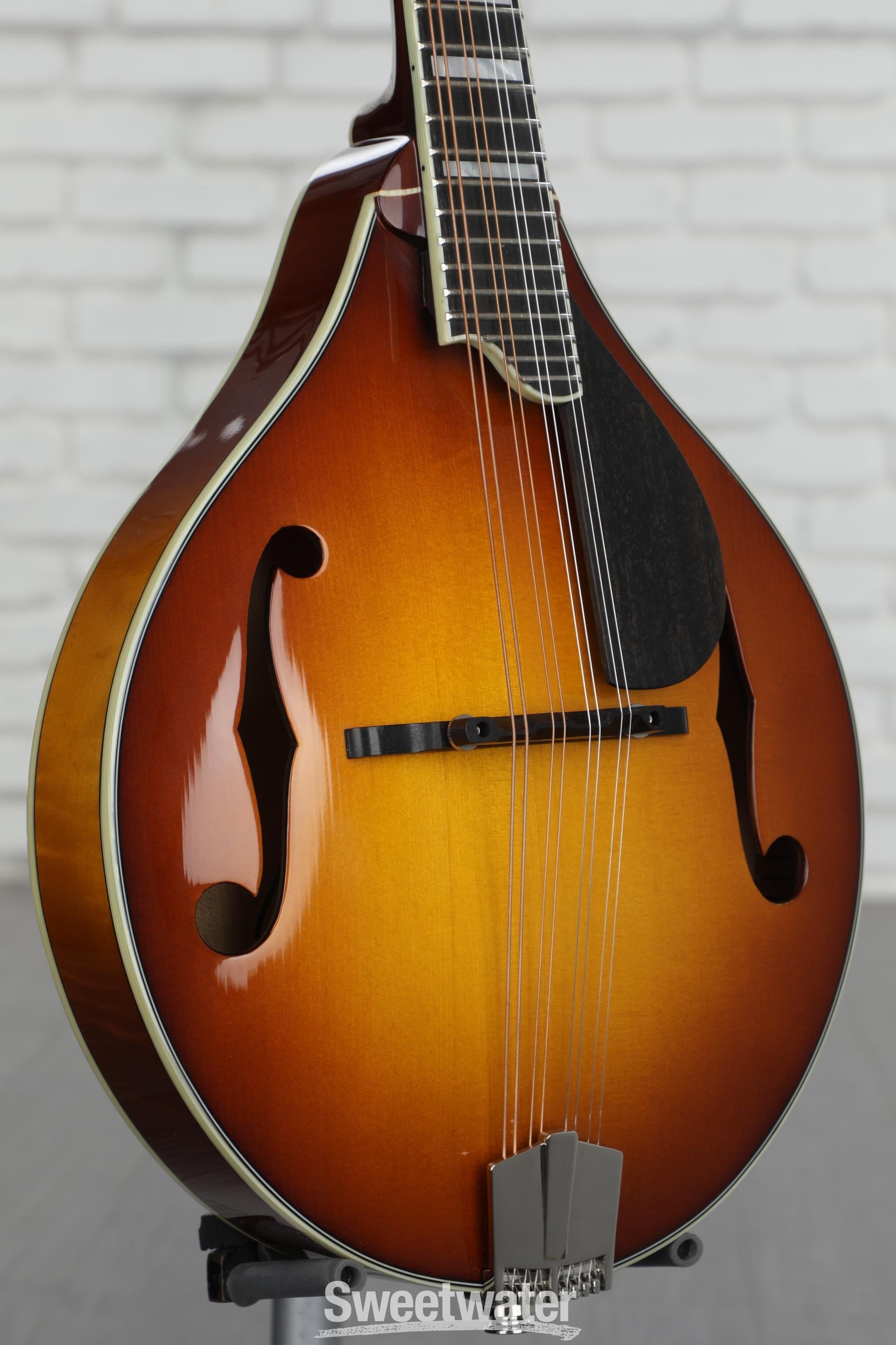 Eastman Guitars MD605 A-style Acoustic-electric Mandolin - Goldburst ...