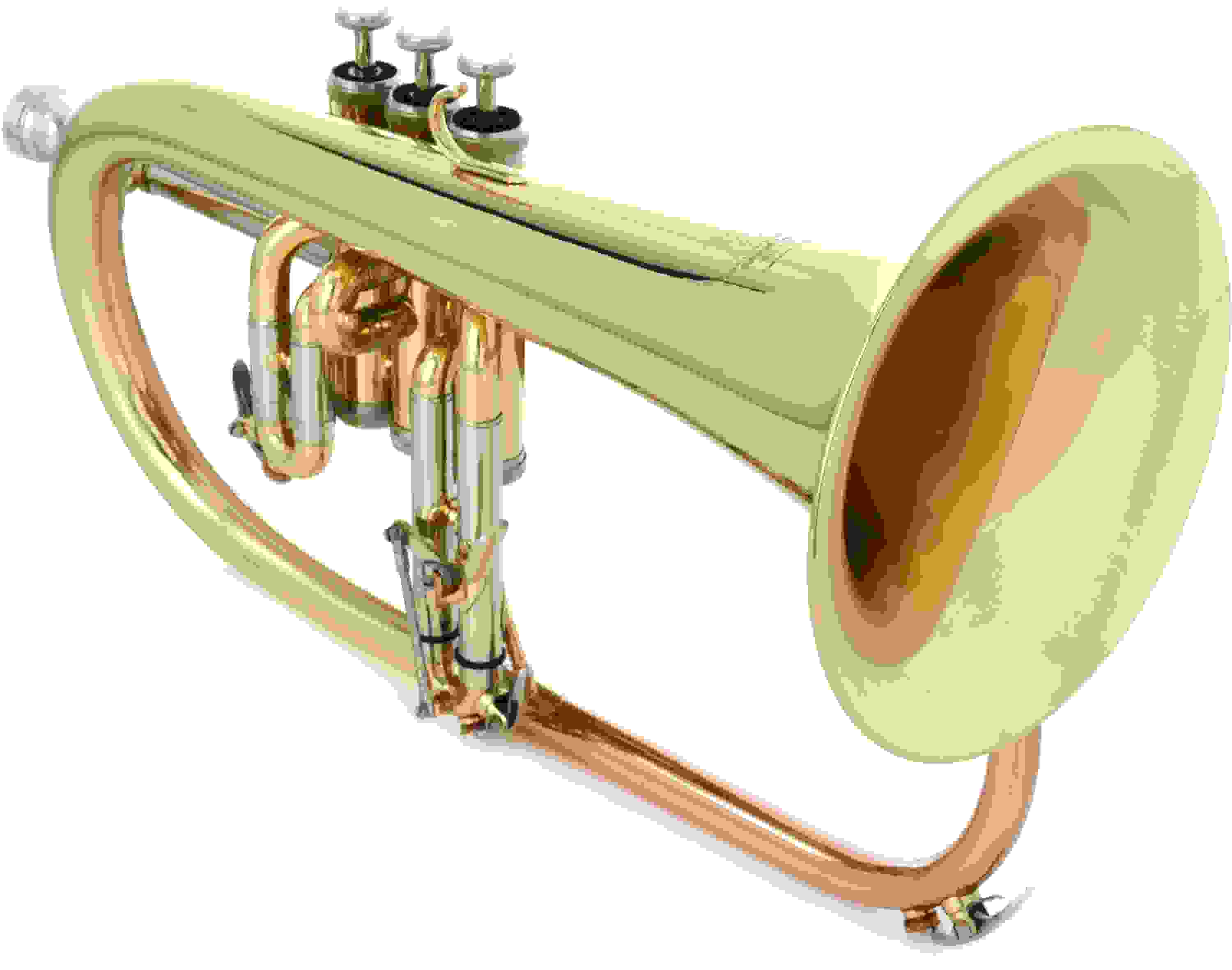Victory Musical Instruments VFLH-TSGL Triumph Intermediate Flugelhorn ...