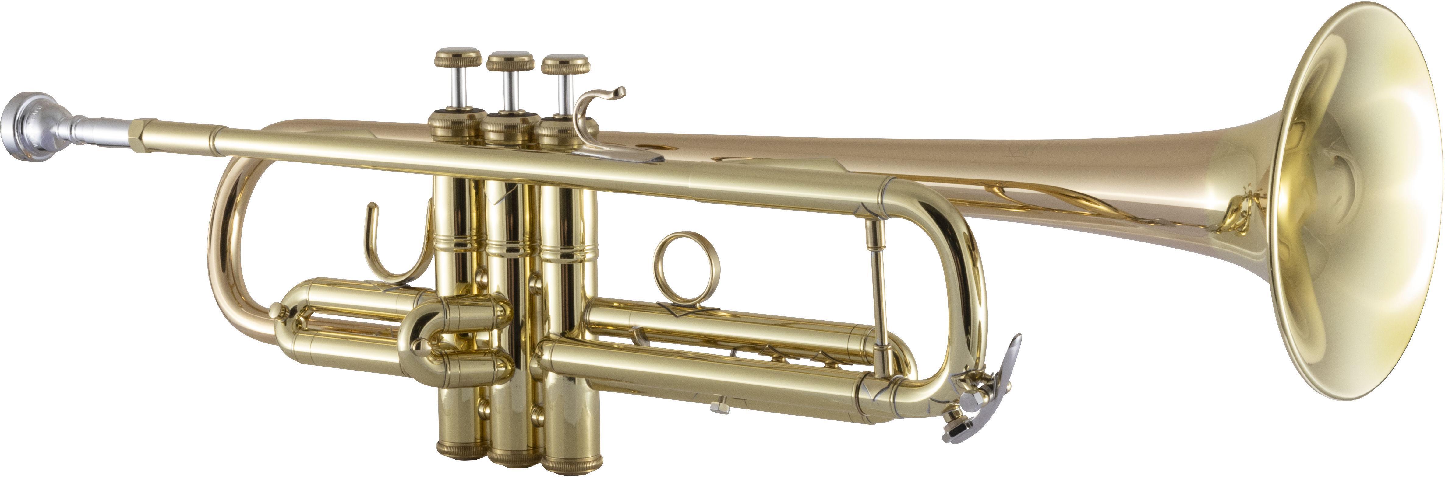 Bach 17043GYR Professional Bb Trumpet - Reverse Leadpipe - 43 Bell ...