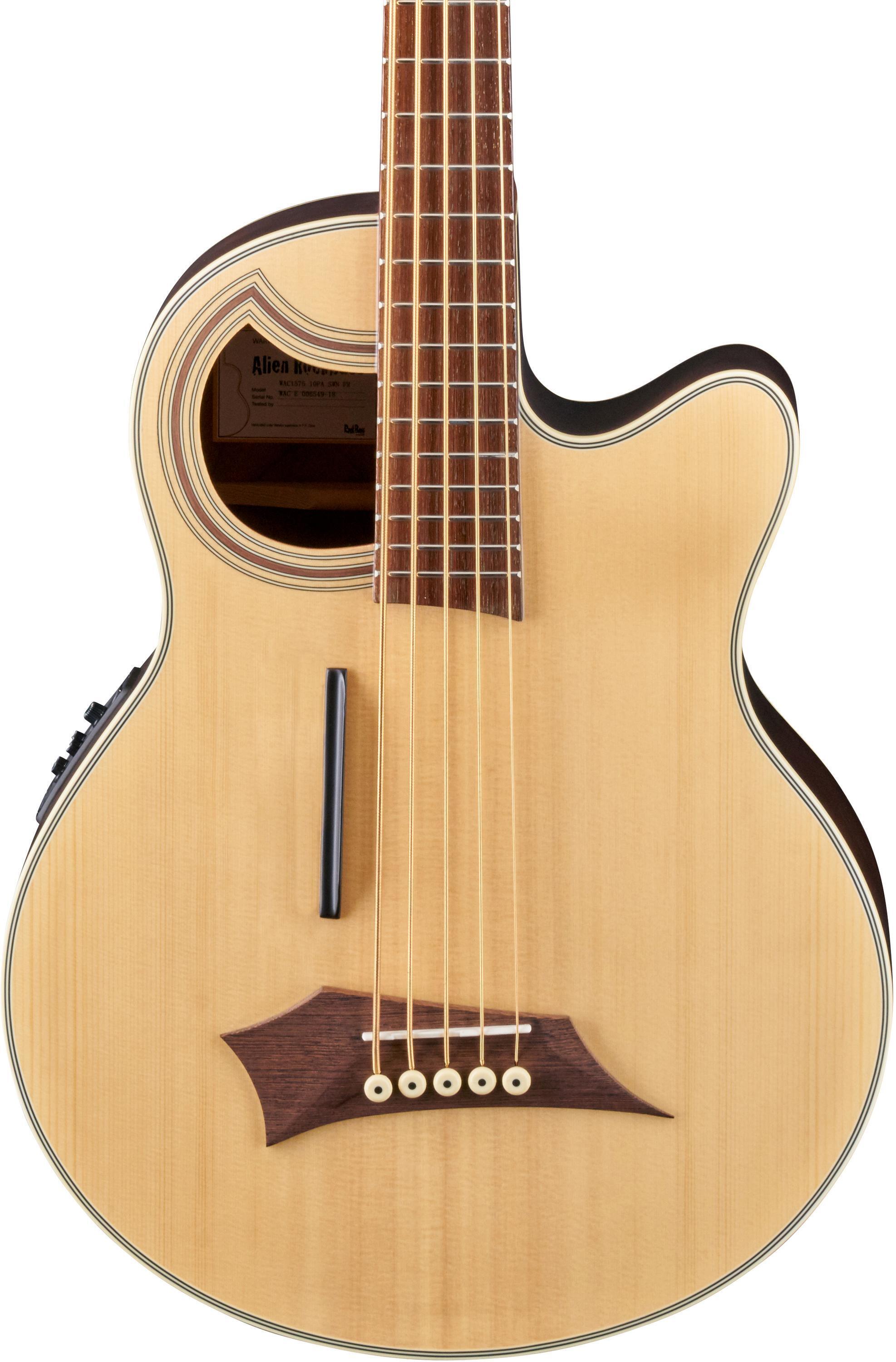 Warwick RockBass Alien Deluxe Hybrid Thinline 5-string Acoustic ...