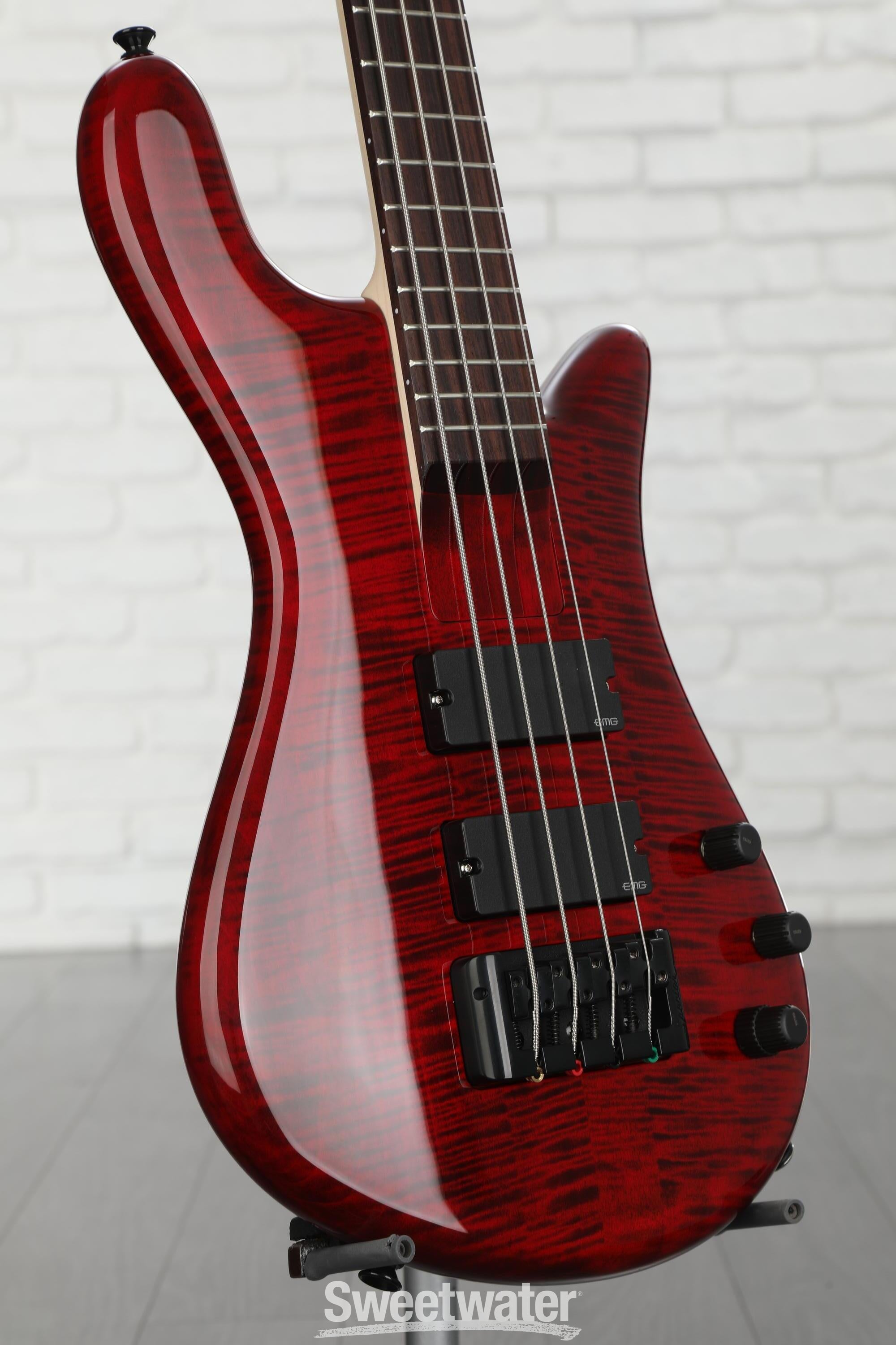 Spector Bantam 4 Bass Guitar - Black Cherry Gloss | Sweetwater