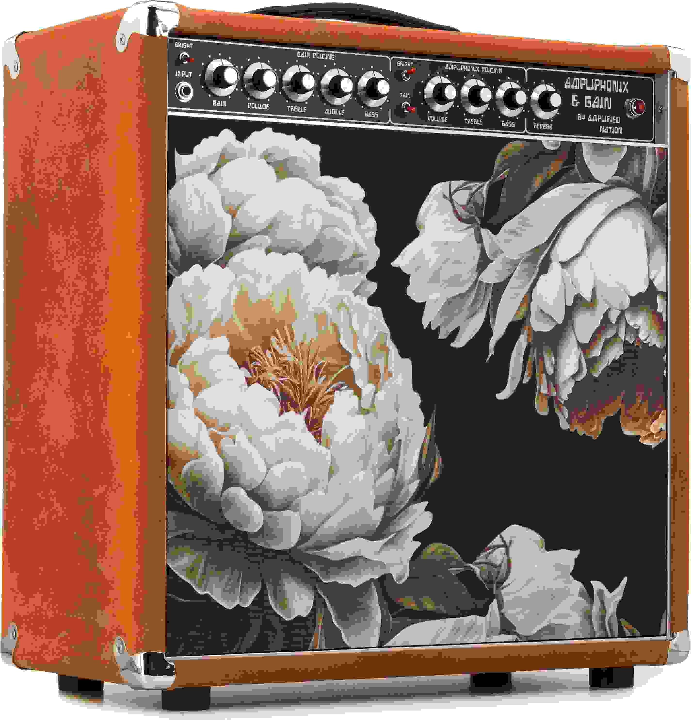 Amplified Nation Ampliphonix and Gain 50-watt 1 x 12-inch Combo ...