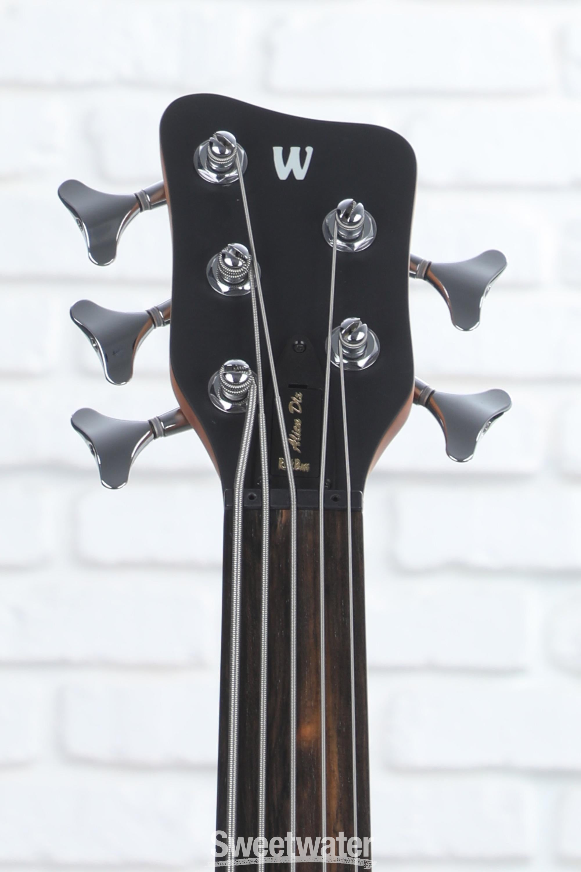 Warwick Rockbass Alien Deluxe Hybrid Thinline Fretless 5-string Bass ...