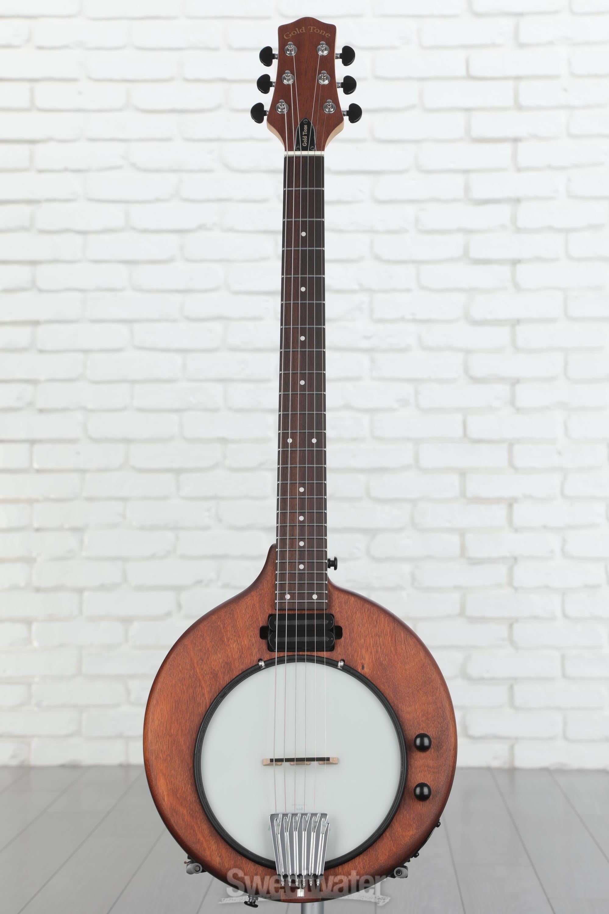 Gold Tone EB-6 6-string Electric Banjitar - Natural | Sweetwater