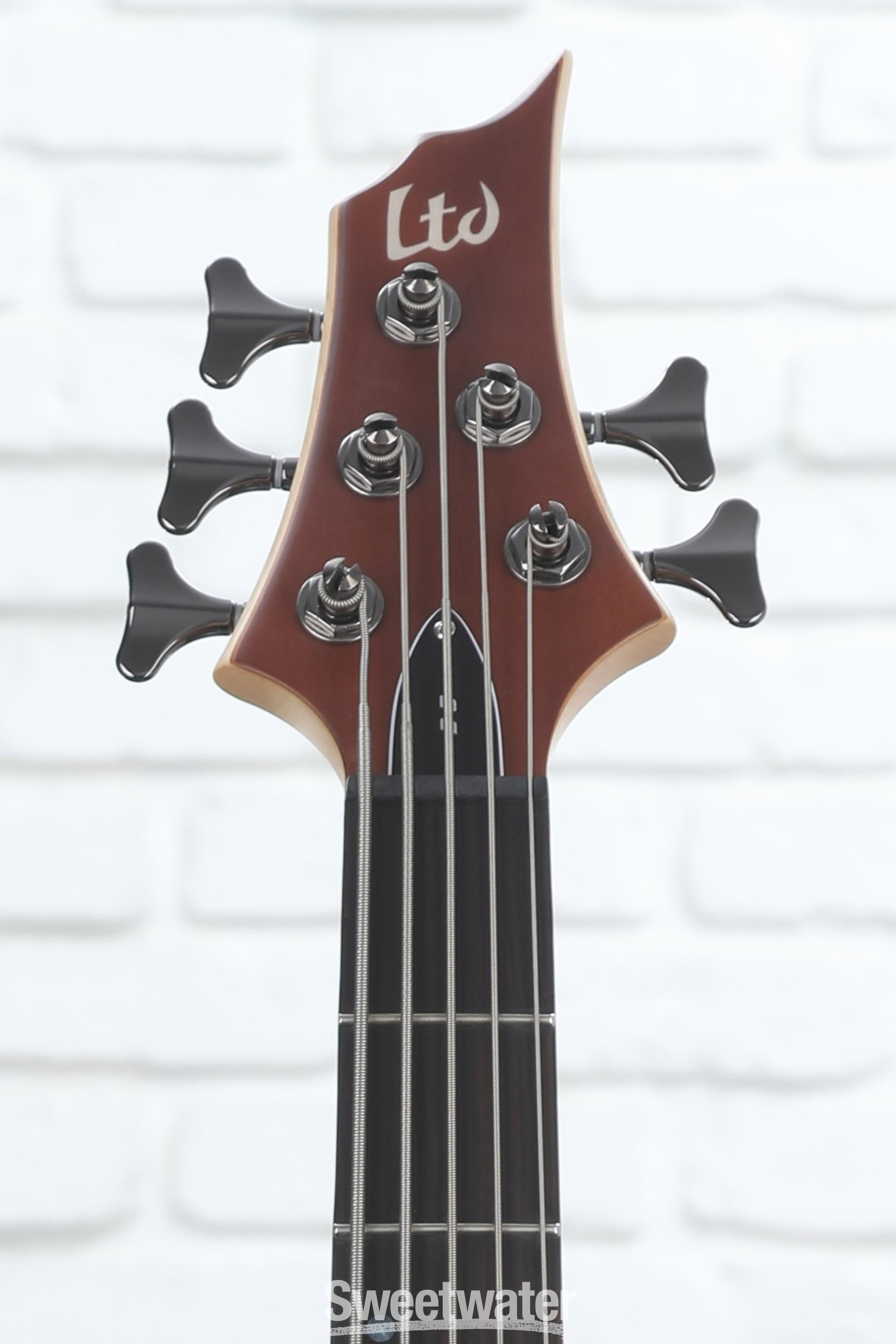 ESP LTD B-5E Mahogany 5-string Bass Guitar - Natural Satin | Sweetwater