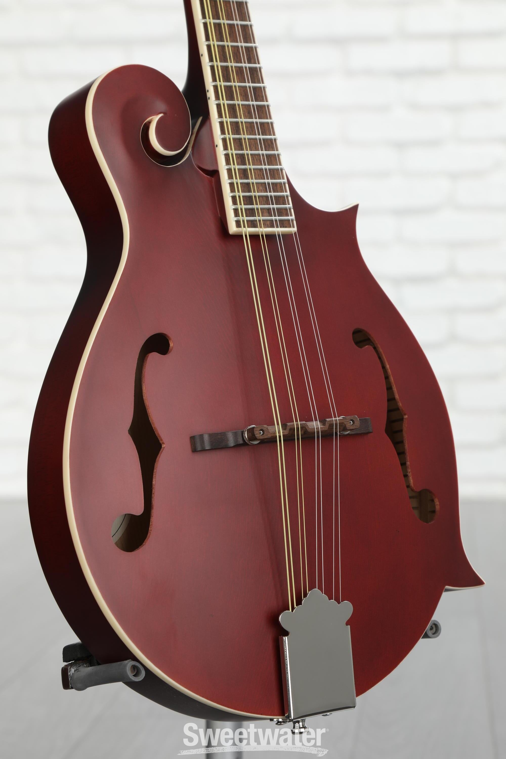 Epiphone F-5 Studio Acoustic Mandolin - Wine Red Satin | Sweetwater