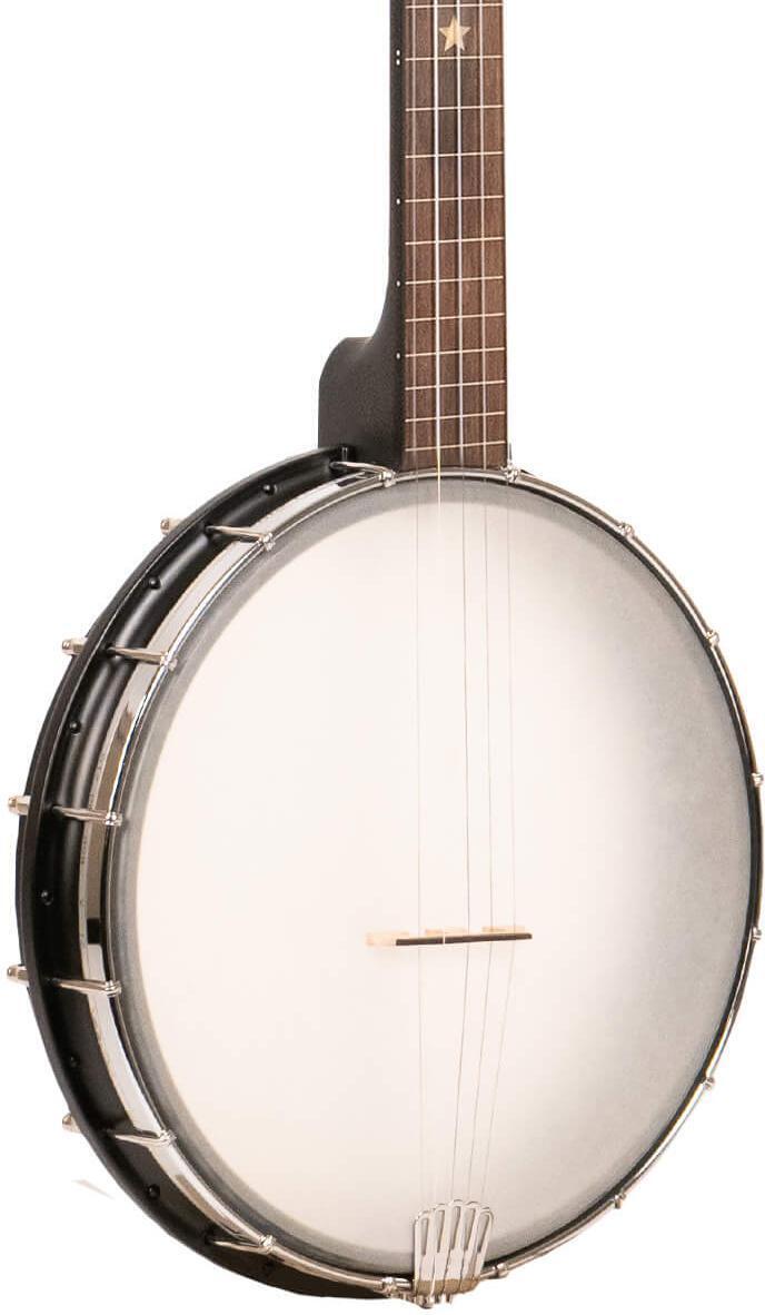 Gold Tone AC-12FL - 12-inch Fretless Acoustic Composite 5-string Open ...