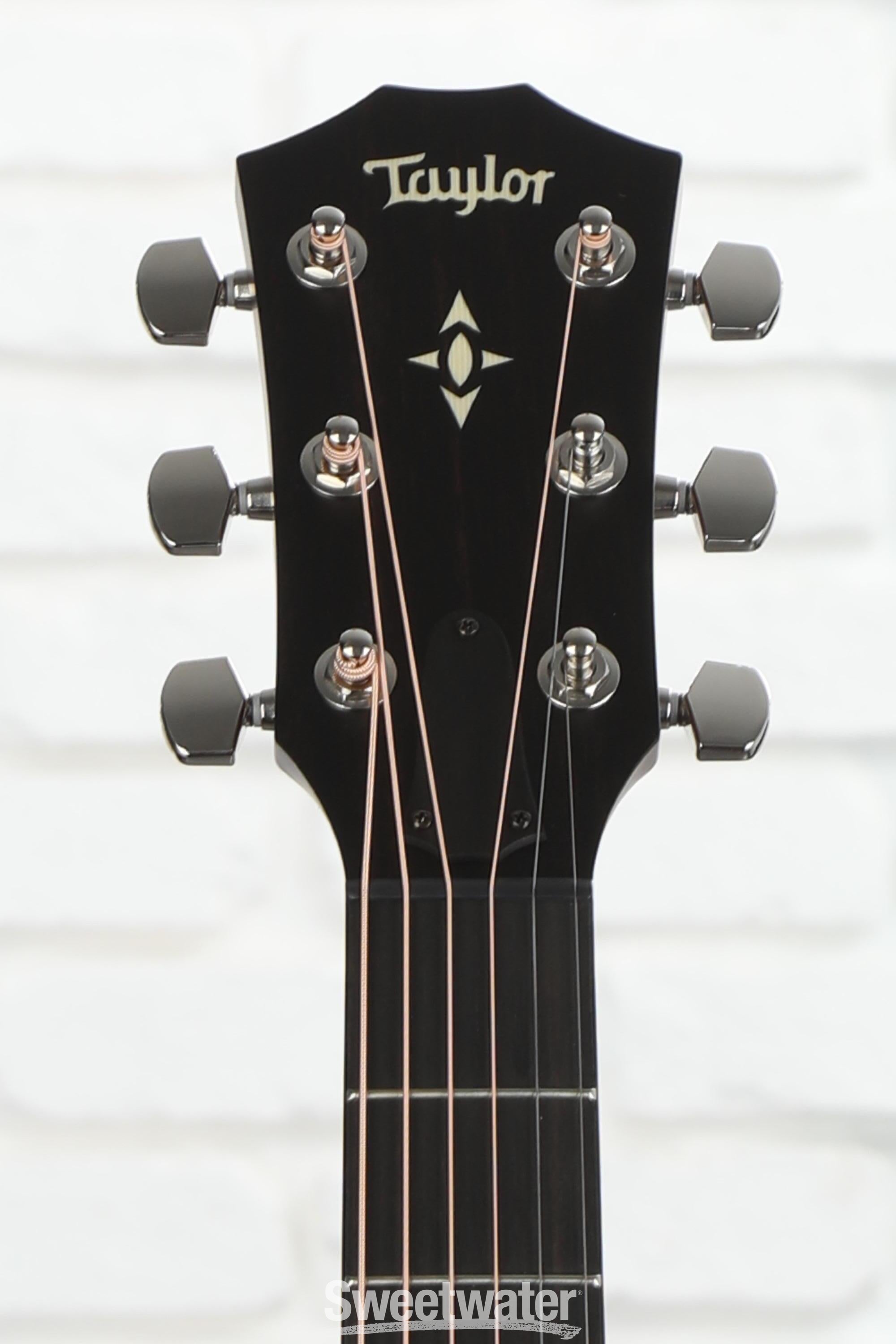 Taylor 517e Grand Pacific Builder's Edition V-Class - Natural | Sweetwater