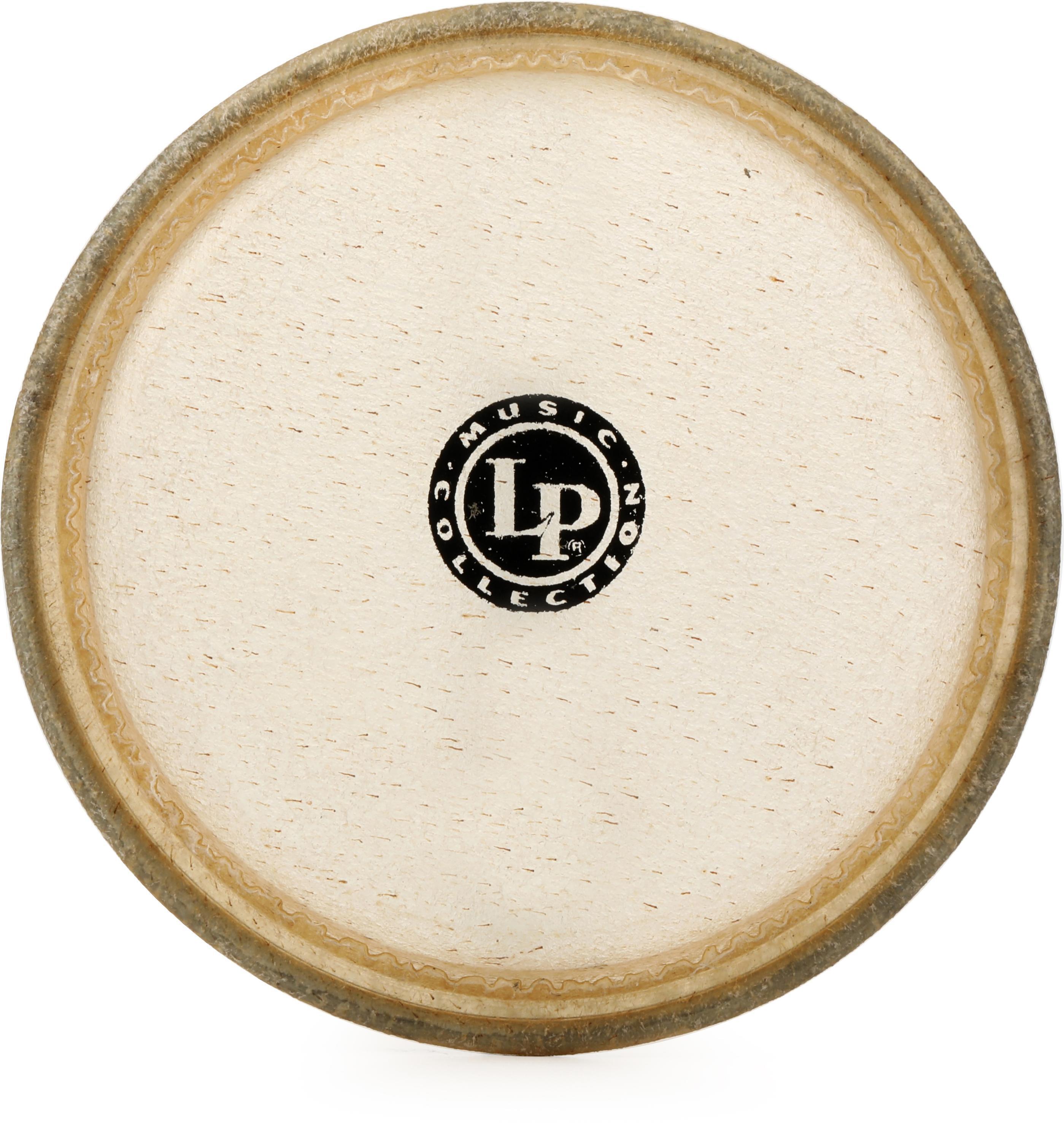 Latin Percussion Mini Bongo Head - 3.5 inches | Sweetwater